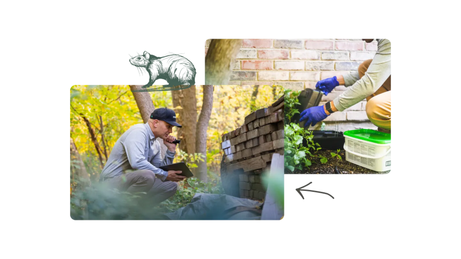 Service Offering | Greenix Pest Control