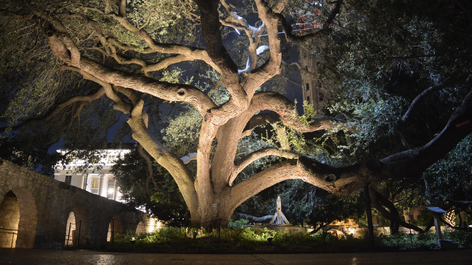 Blog | Lumien Lighting