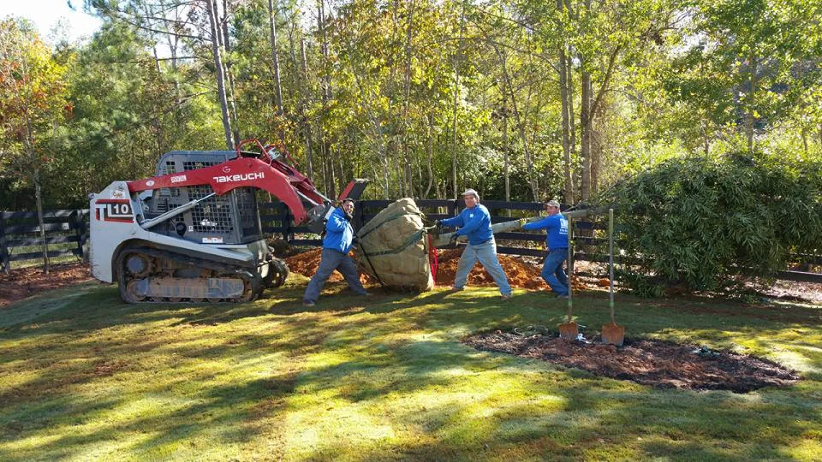 Blue Ridge, GA Landscaping & Lawn Care Services