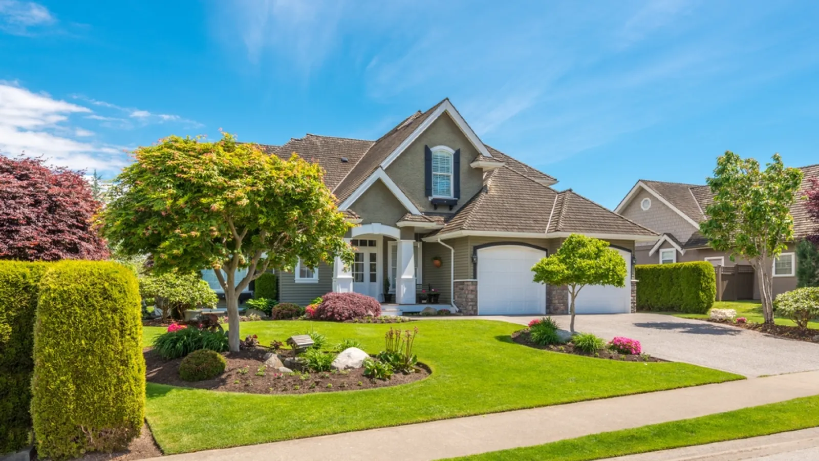 Expert Rodent Control Seattle | Rodent Guard