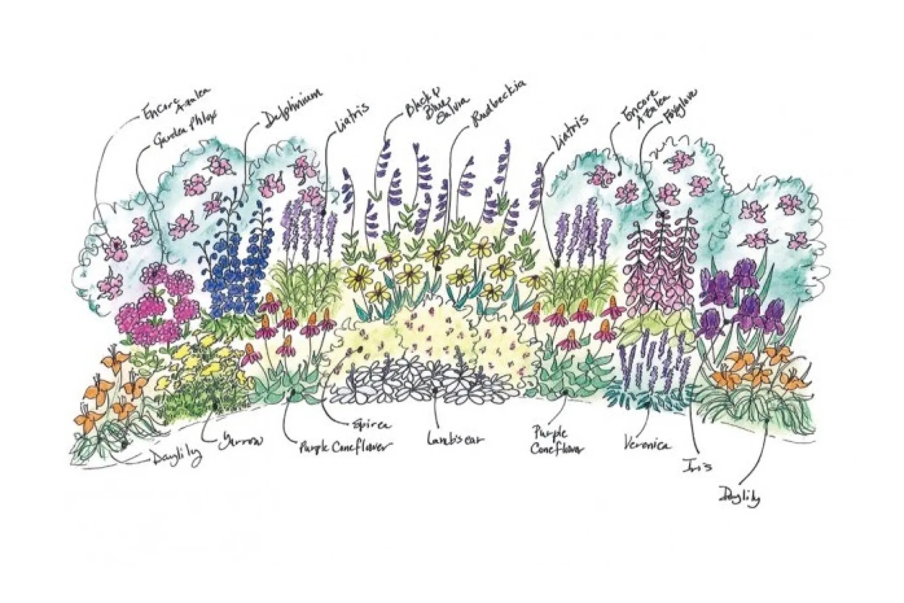 Plant a Mixed Border | Armstrong Garden Centers