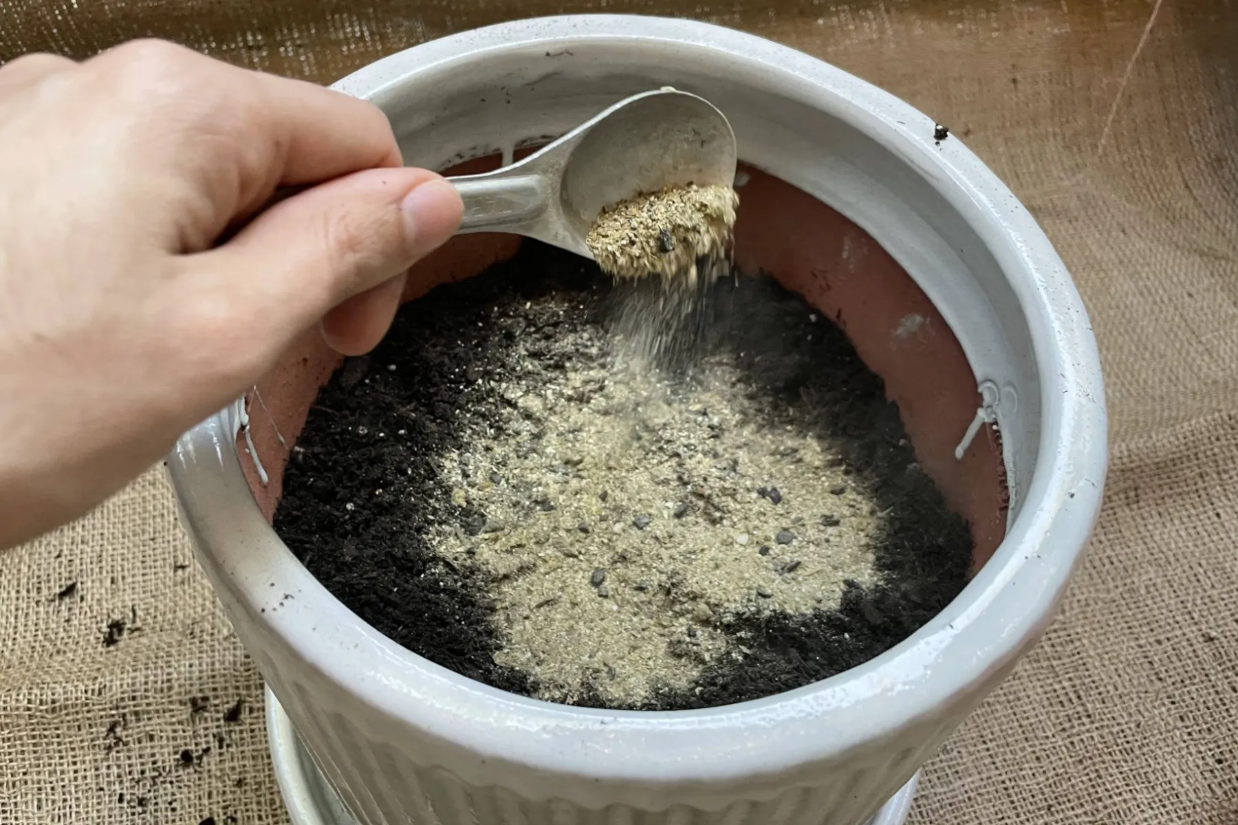 Waterwise Butterfly Planter | Armstrong Garden Centers