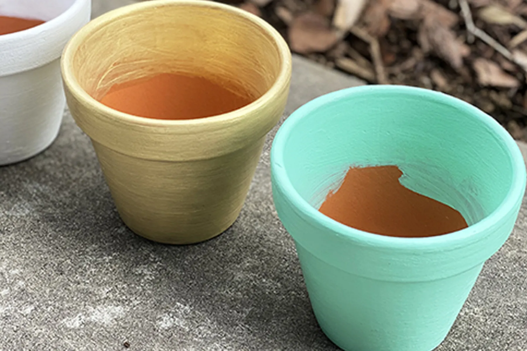 Painted Terracotta Pots | Pike Nurseries
