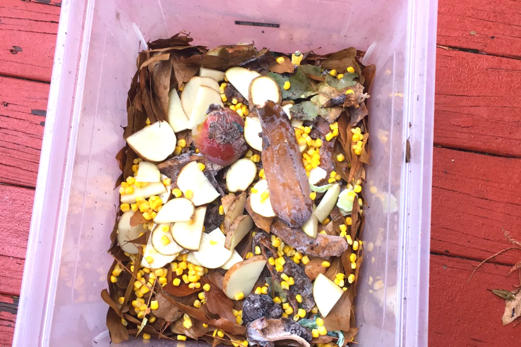 Create your own compost | Pike Nurseries