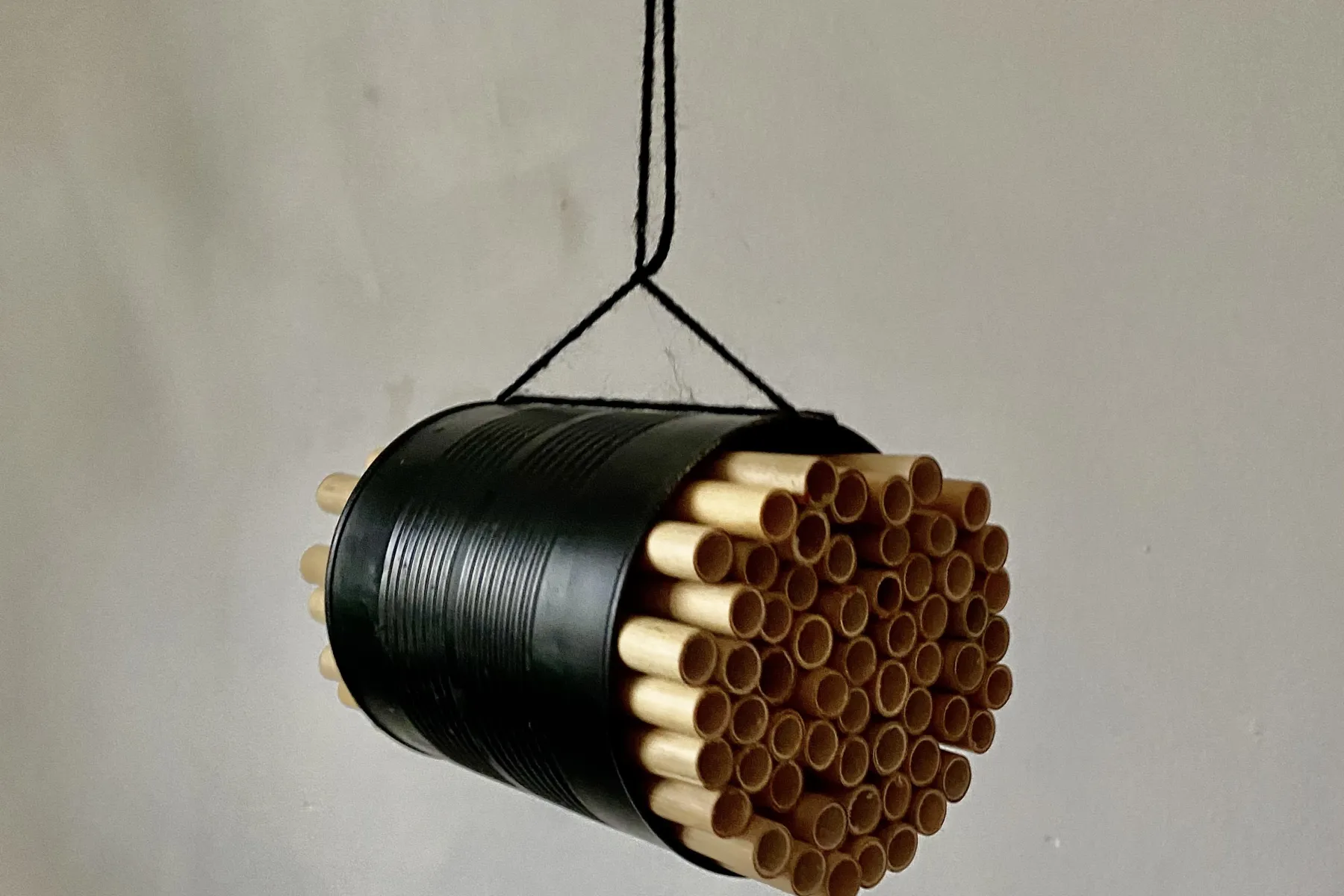 DIY Bug & Bee Hotel | Pike Nurseries