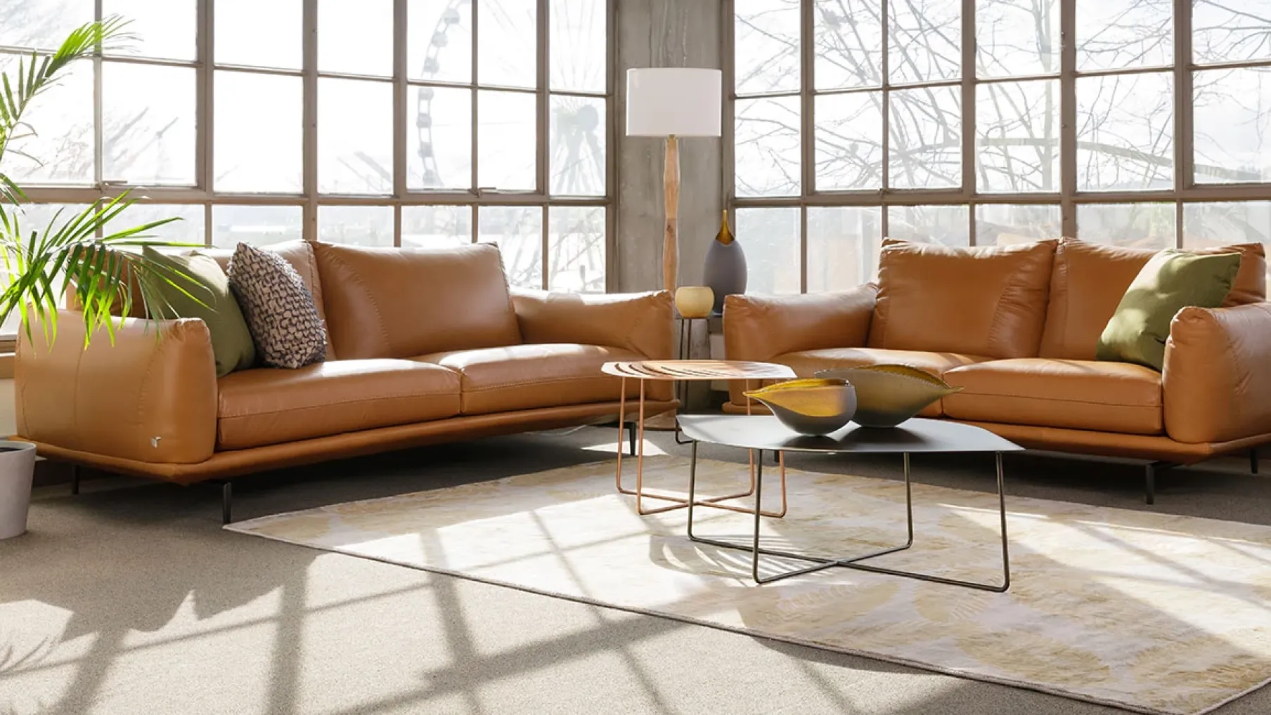 From Numbers to Furniture: Greg Wolf's Journey to CEO of Kasala | The ...