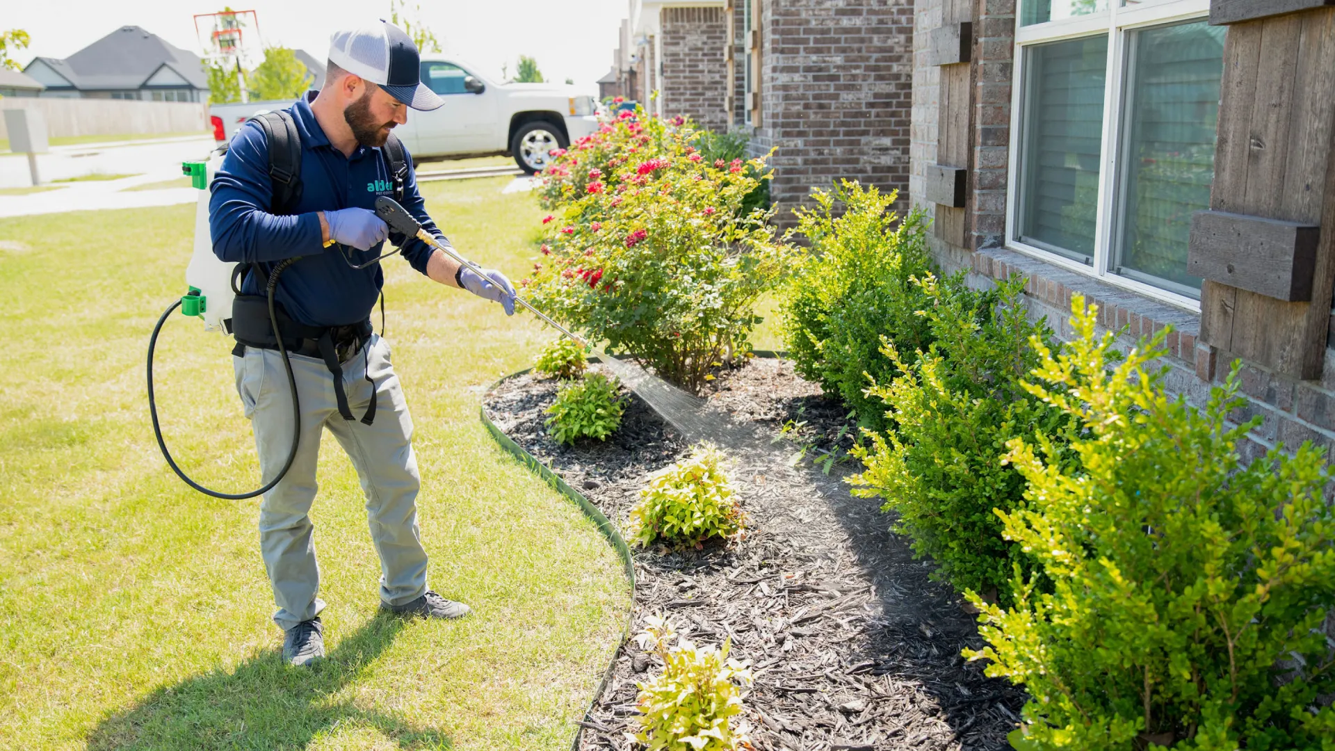 Pest Control | Alder Pest Control