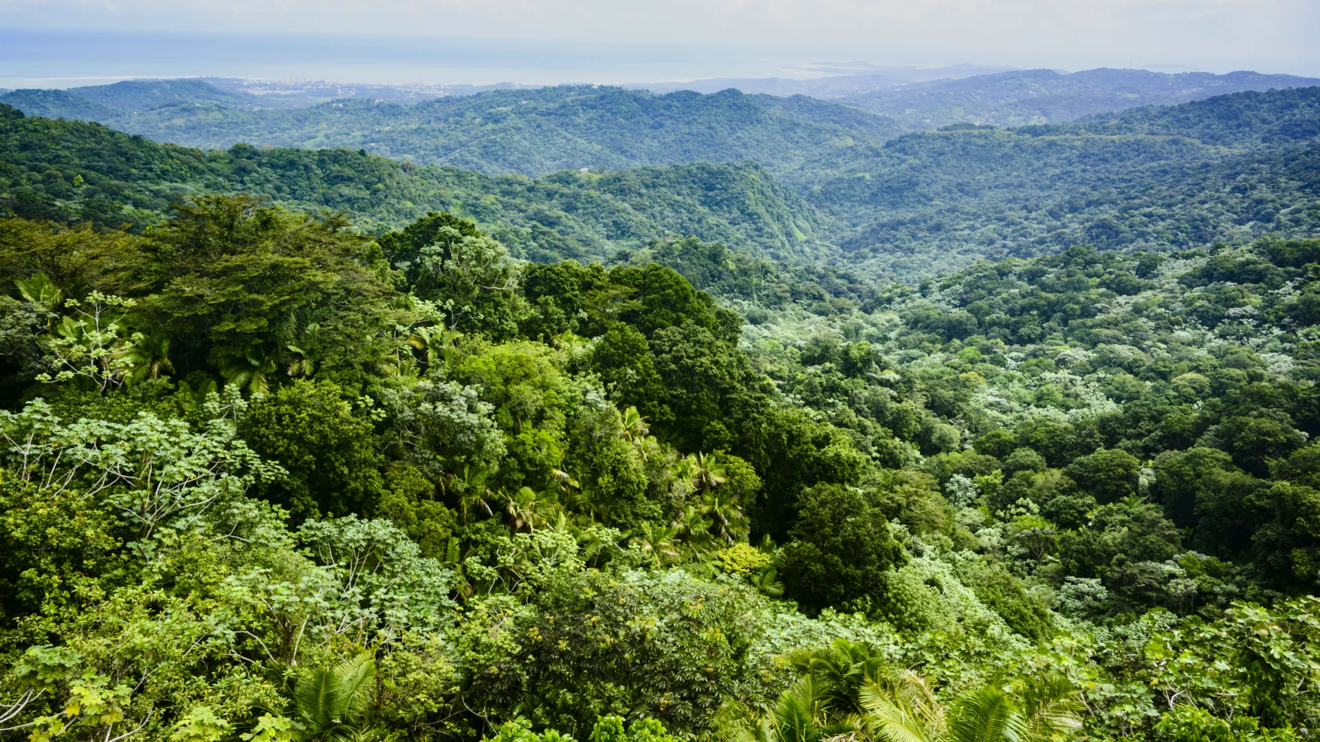 Sobre Nosotros | Genera PR