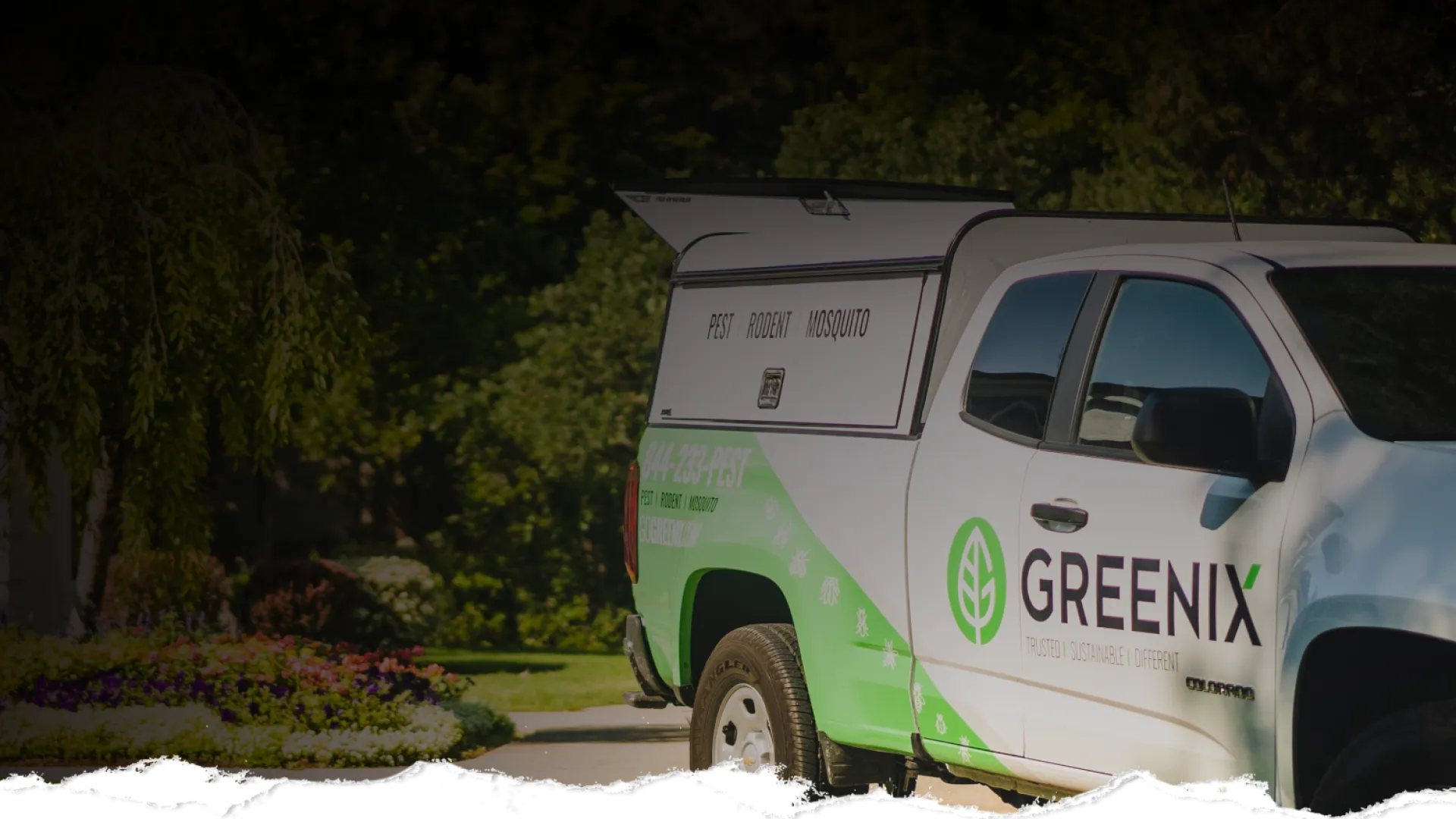 Blog | Pest Control Tips & Tricks | Greenix Pest Control