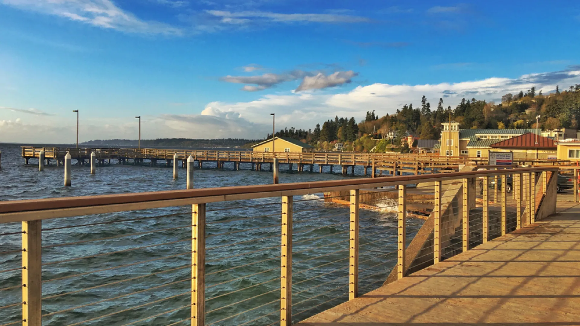 Rodent Control Federal Way | Rodent Guard