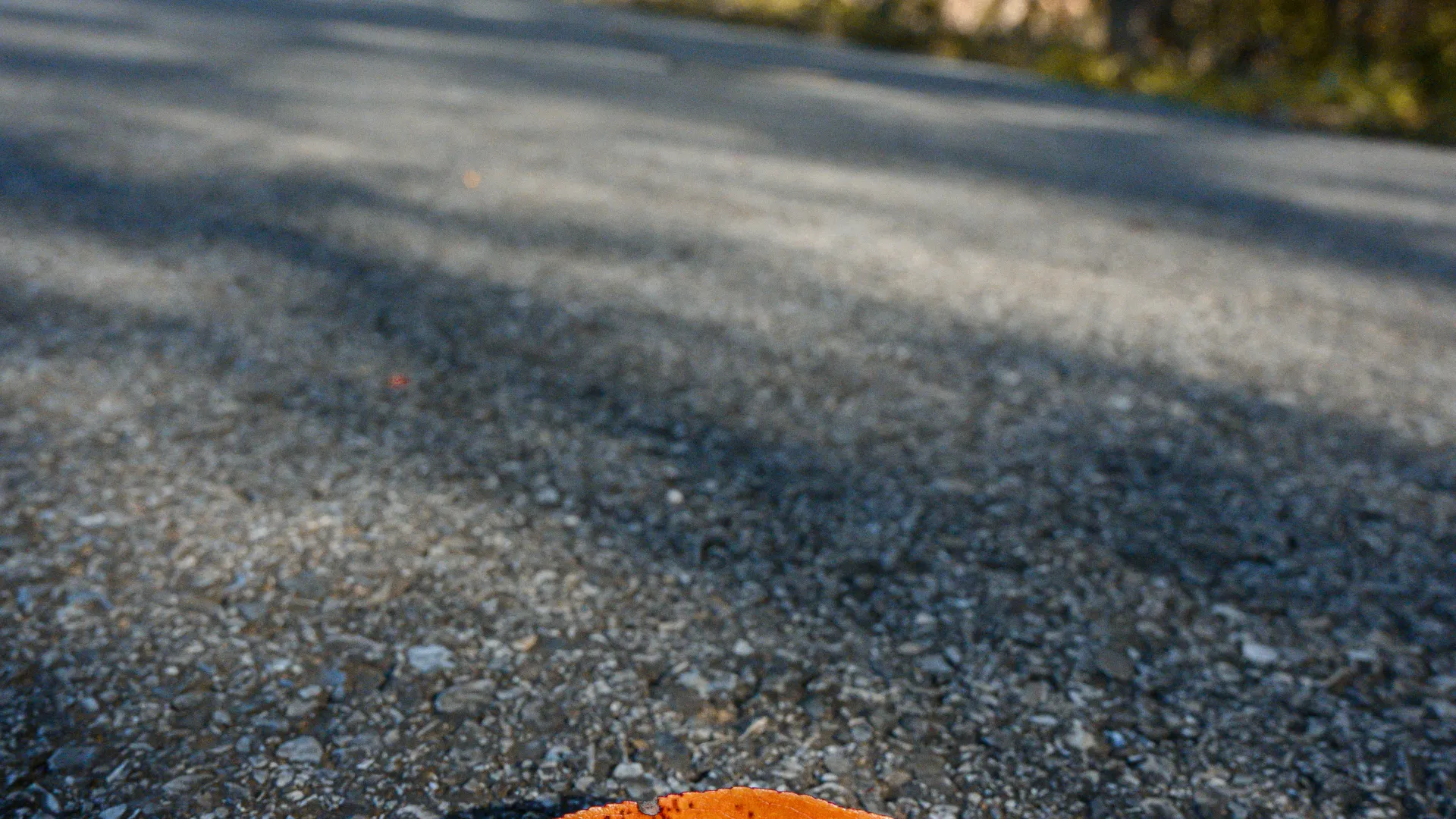 Asphalt vs Concrete Driveways: Cost & Durability in Atlanta | Sudlow ...