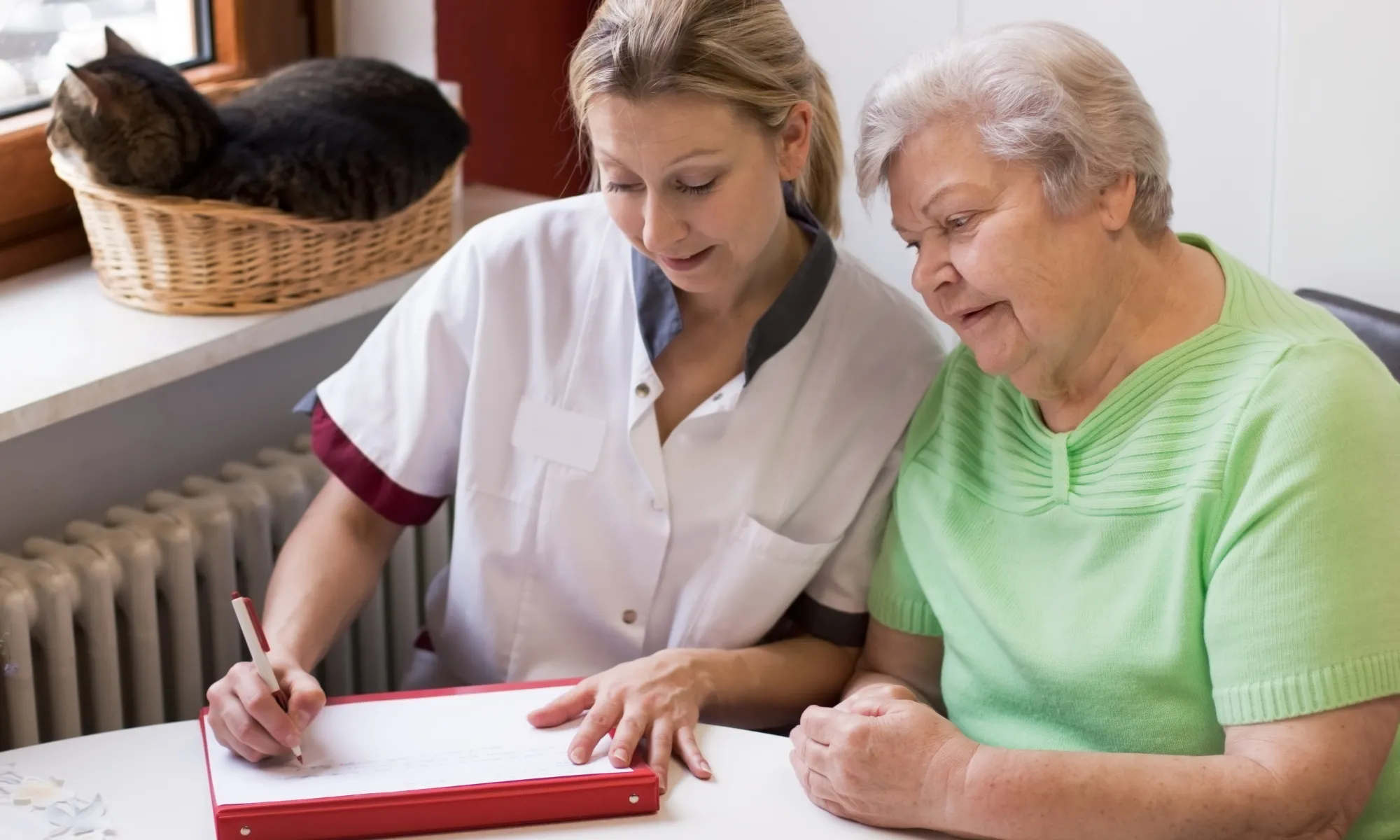 Hip Replacement Getting Ready Before Surgery Proliance Orthopedic