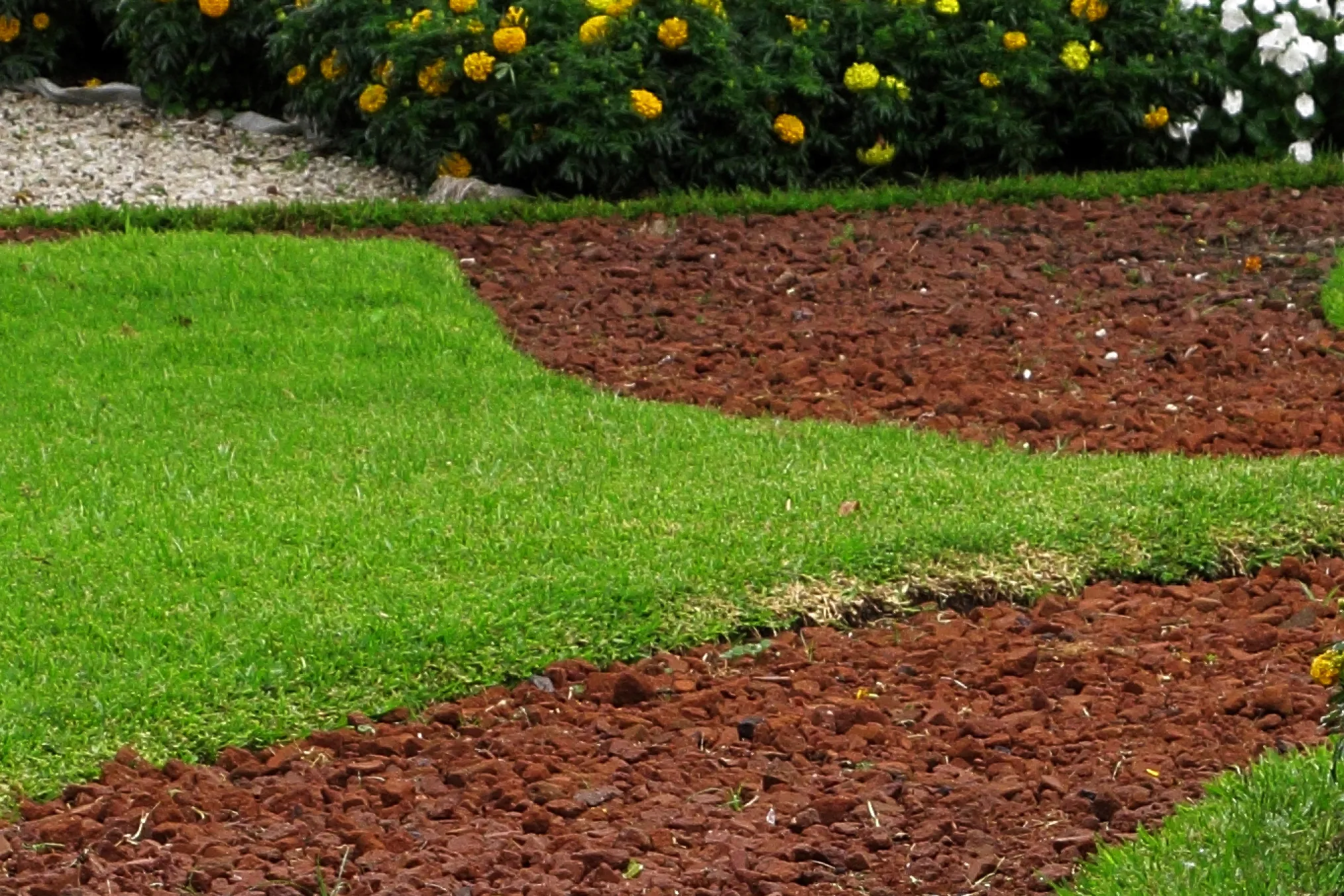 Gallery | Island Lawn Care