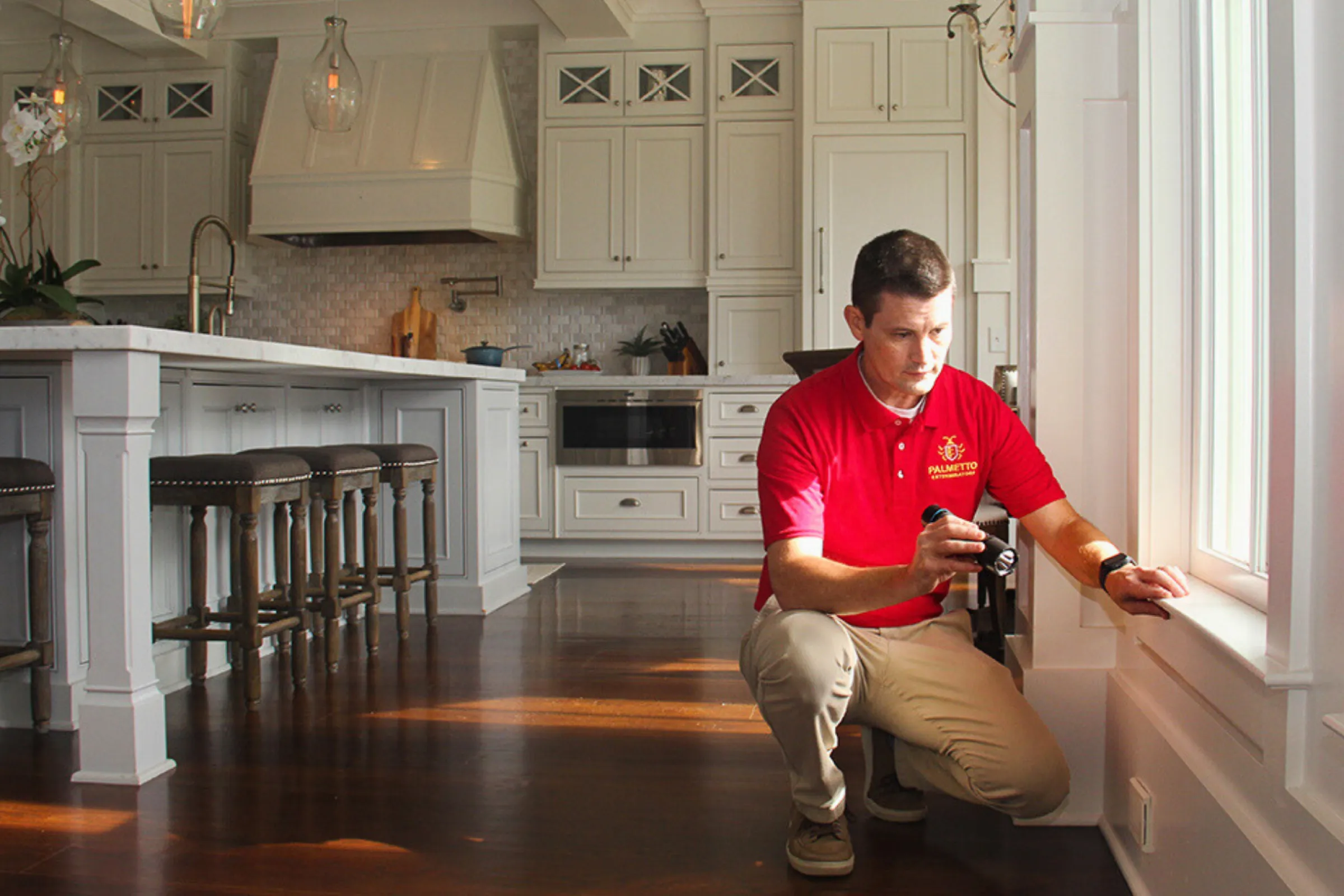 Local Termite Control Experts | Palmetto Exterminators