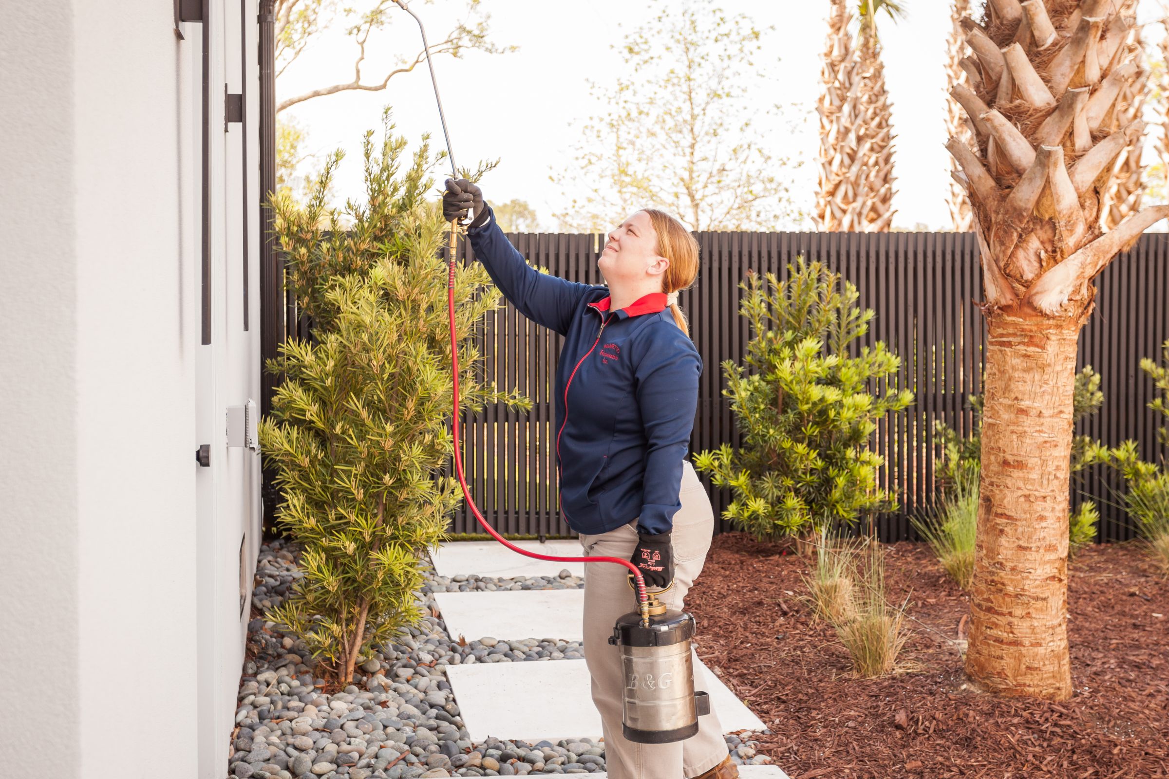 Best Pest, Termite & Mosquito Control | Palmetto Exterminators