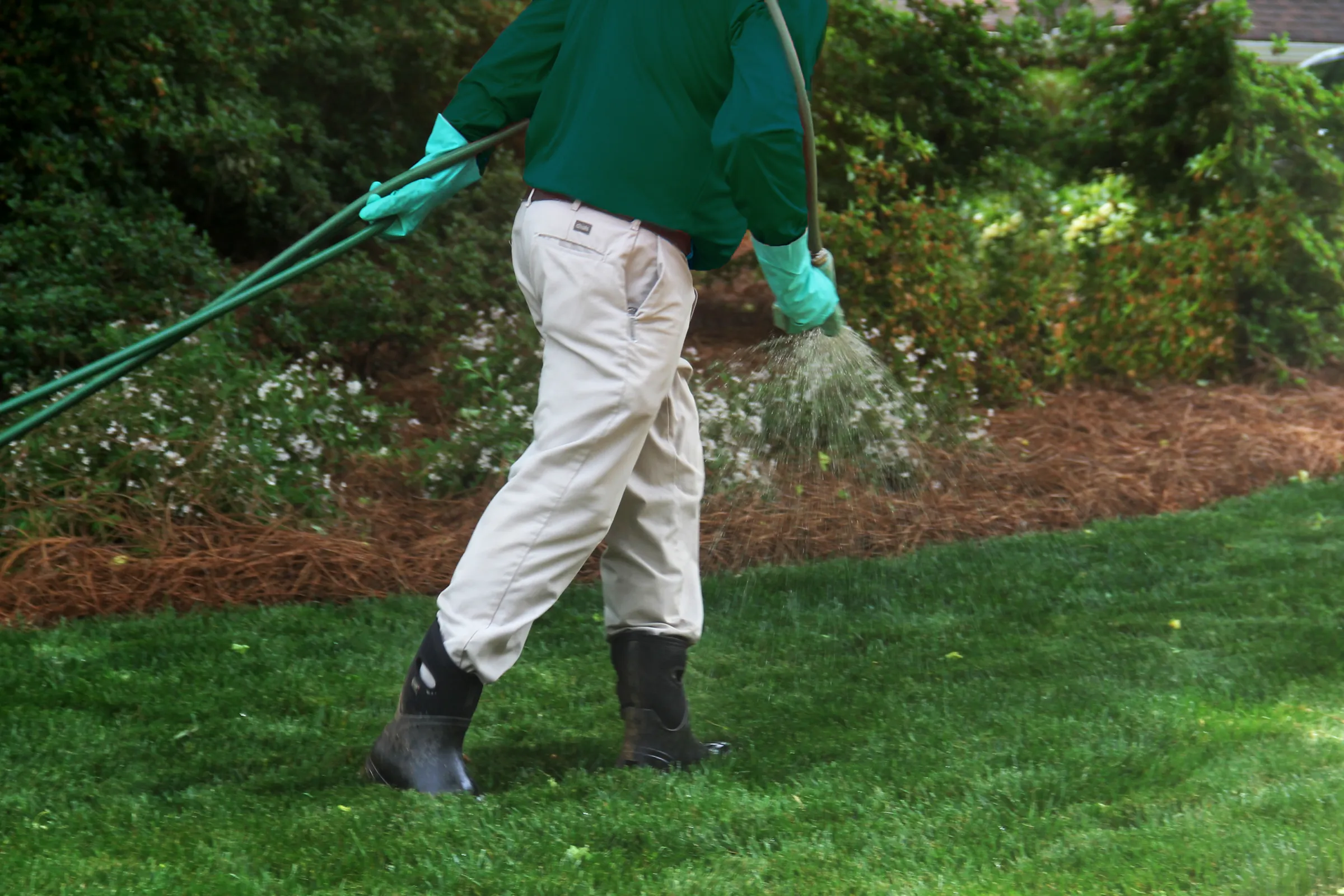 Lawn Fertilization & Weed Control Near You | PestNow