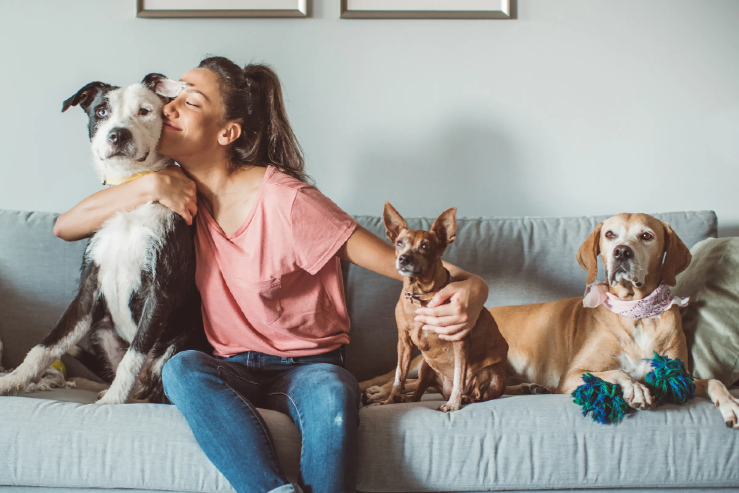 Pest Control Glen Allen, VA | PestNow | PestNow