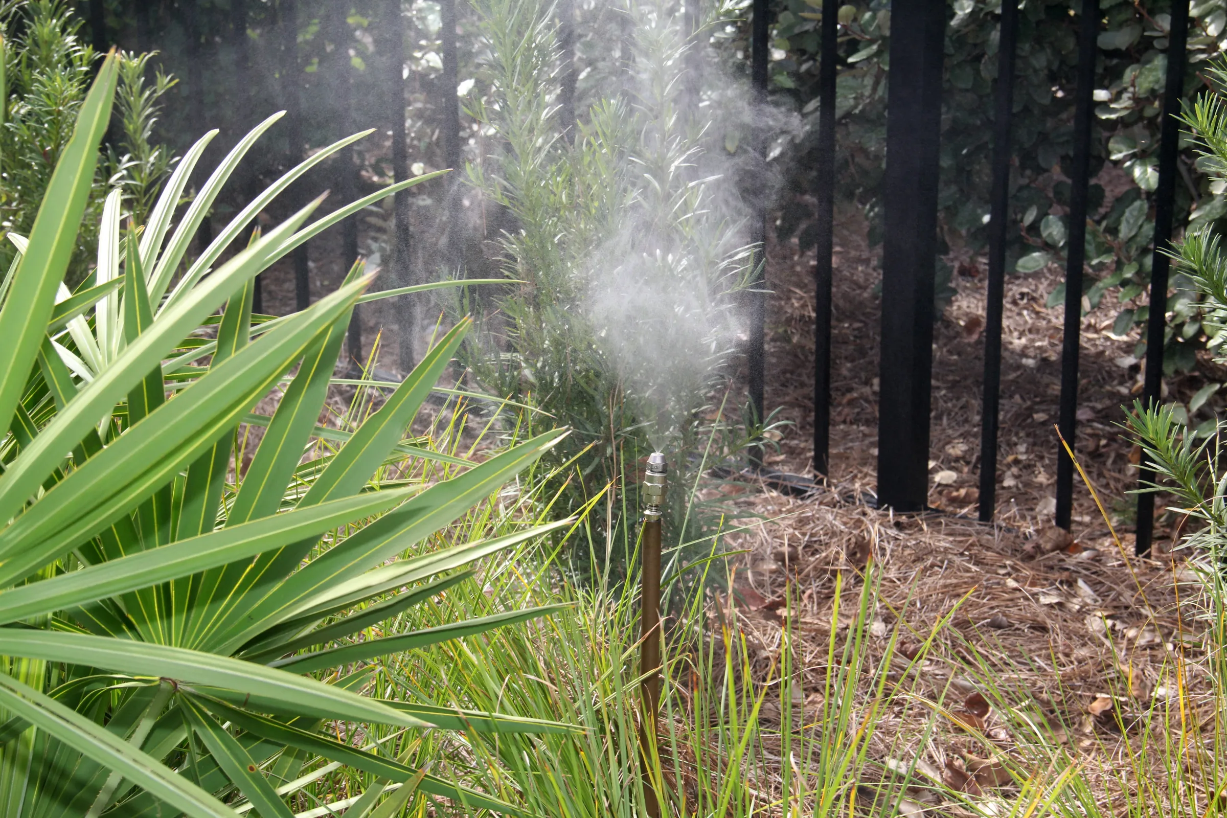 Mosquito Control | Palmetto Exterminators