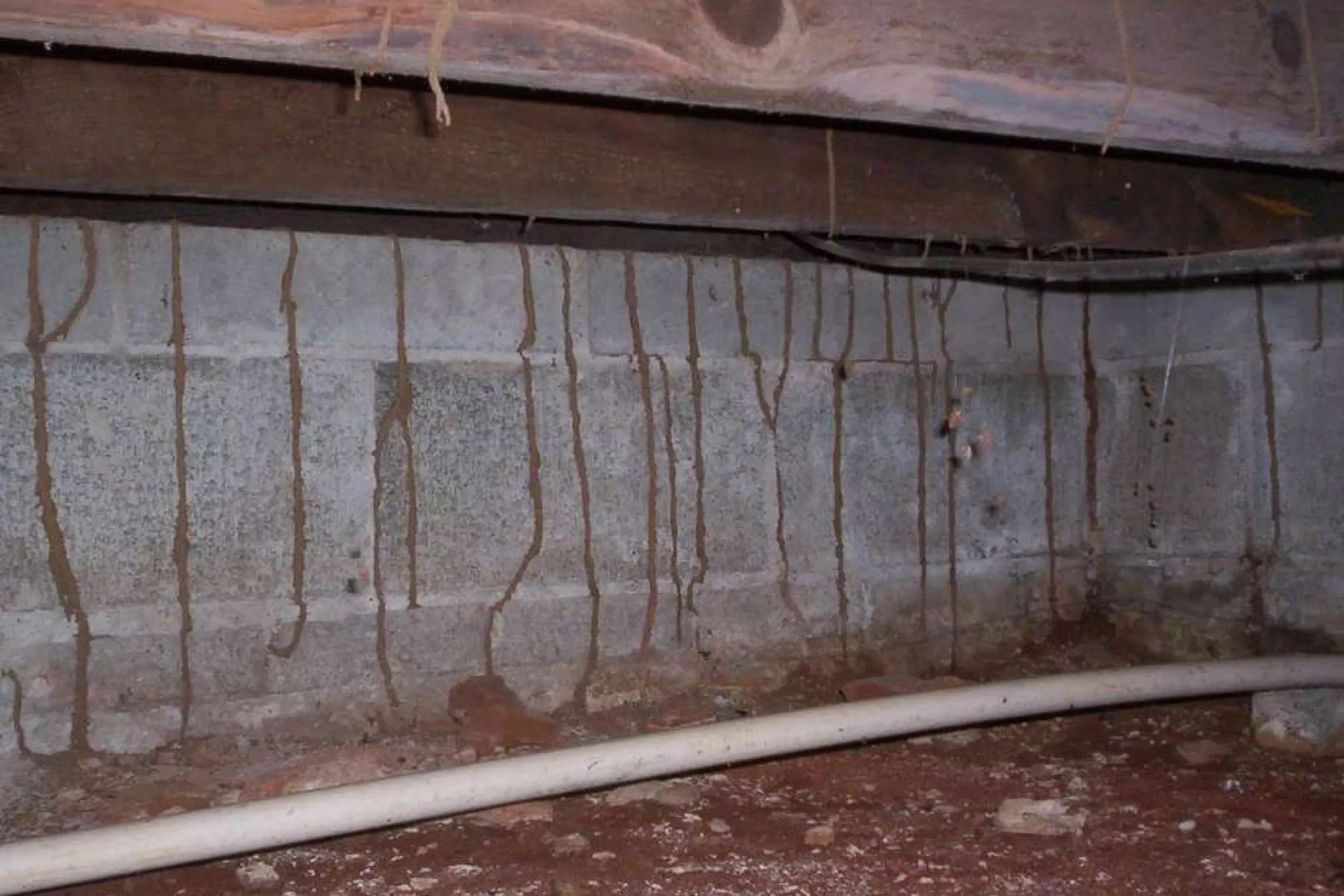Crawl Space Moisture Solutions | Ozane Termite & Pest Control