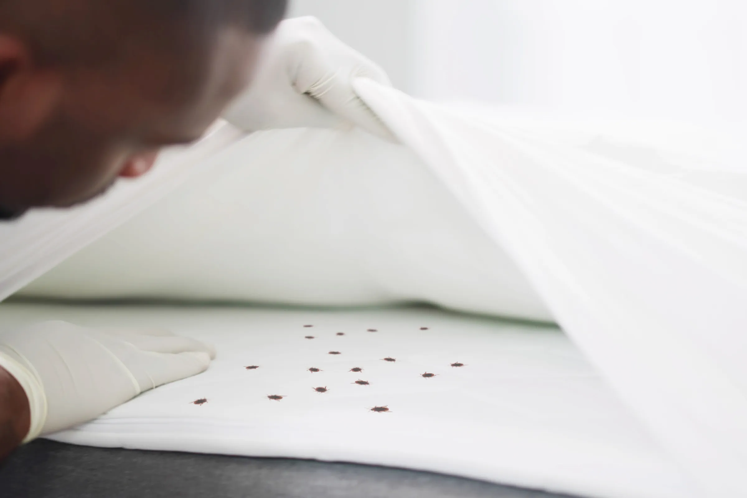 Special Services | Preferred Pest Control | Preferred Pest Control