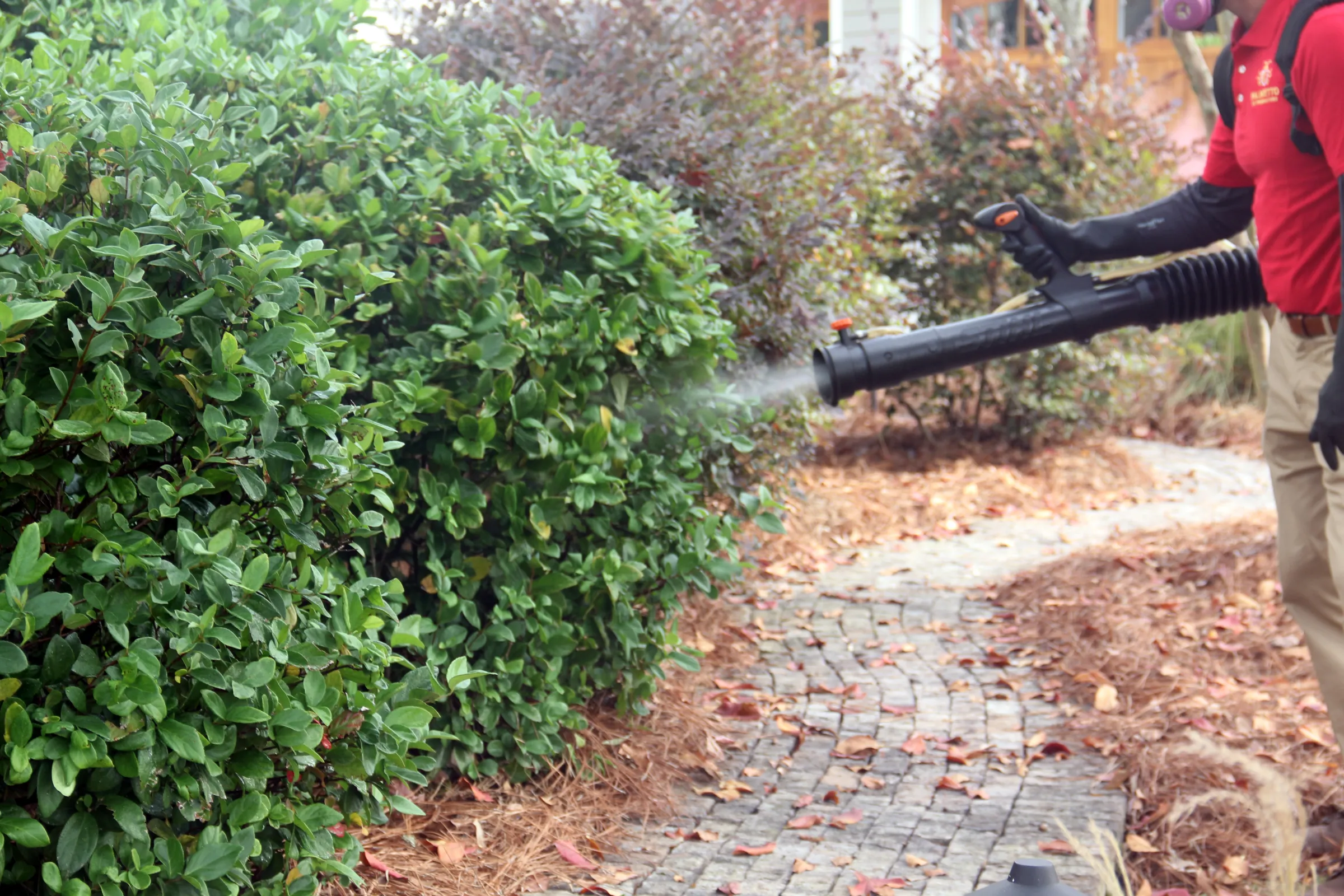 Commercial Pest | Palmetto Exterminators