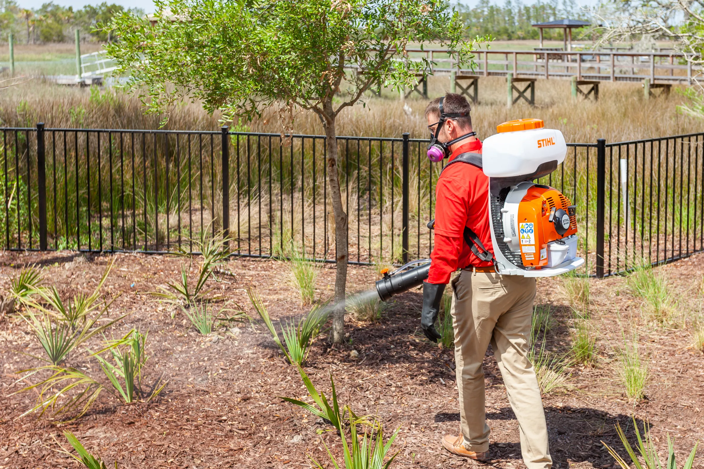 Mosquito Control | Palmetto Exterminators