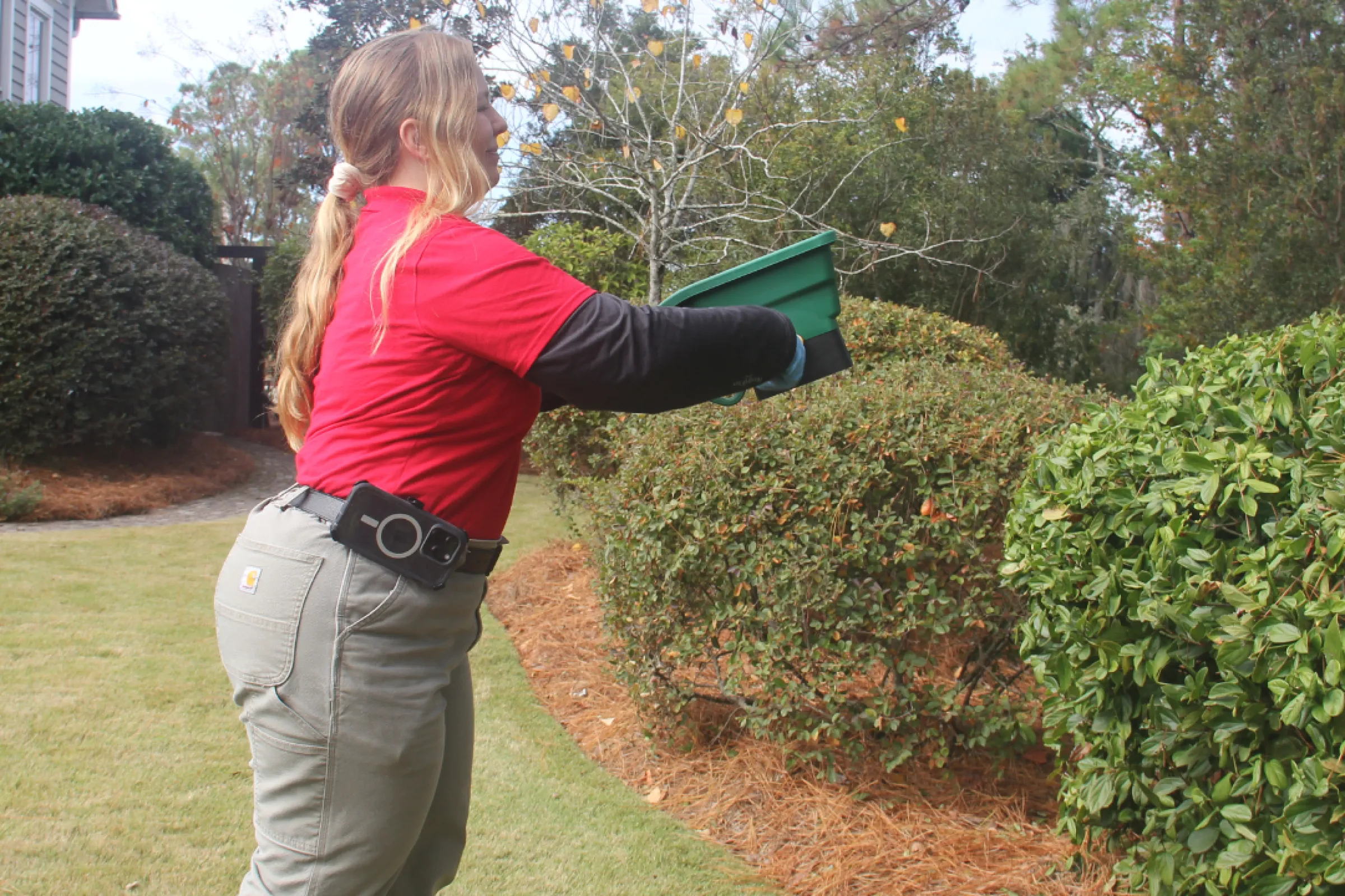 Pest Control Charlotte, NC | Palmetto Exterminators