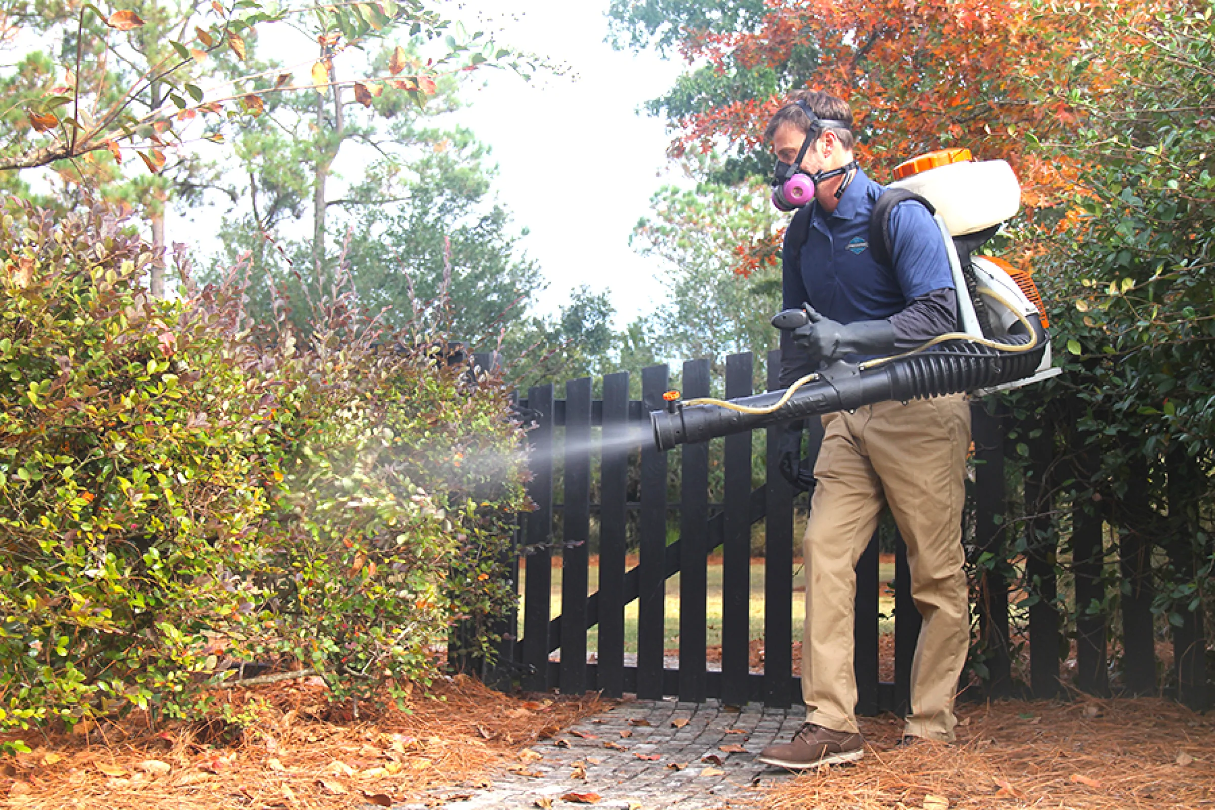 Pest Management Services in Savannah GA | Preferred Pest Control
