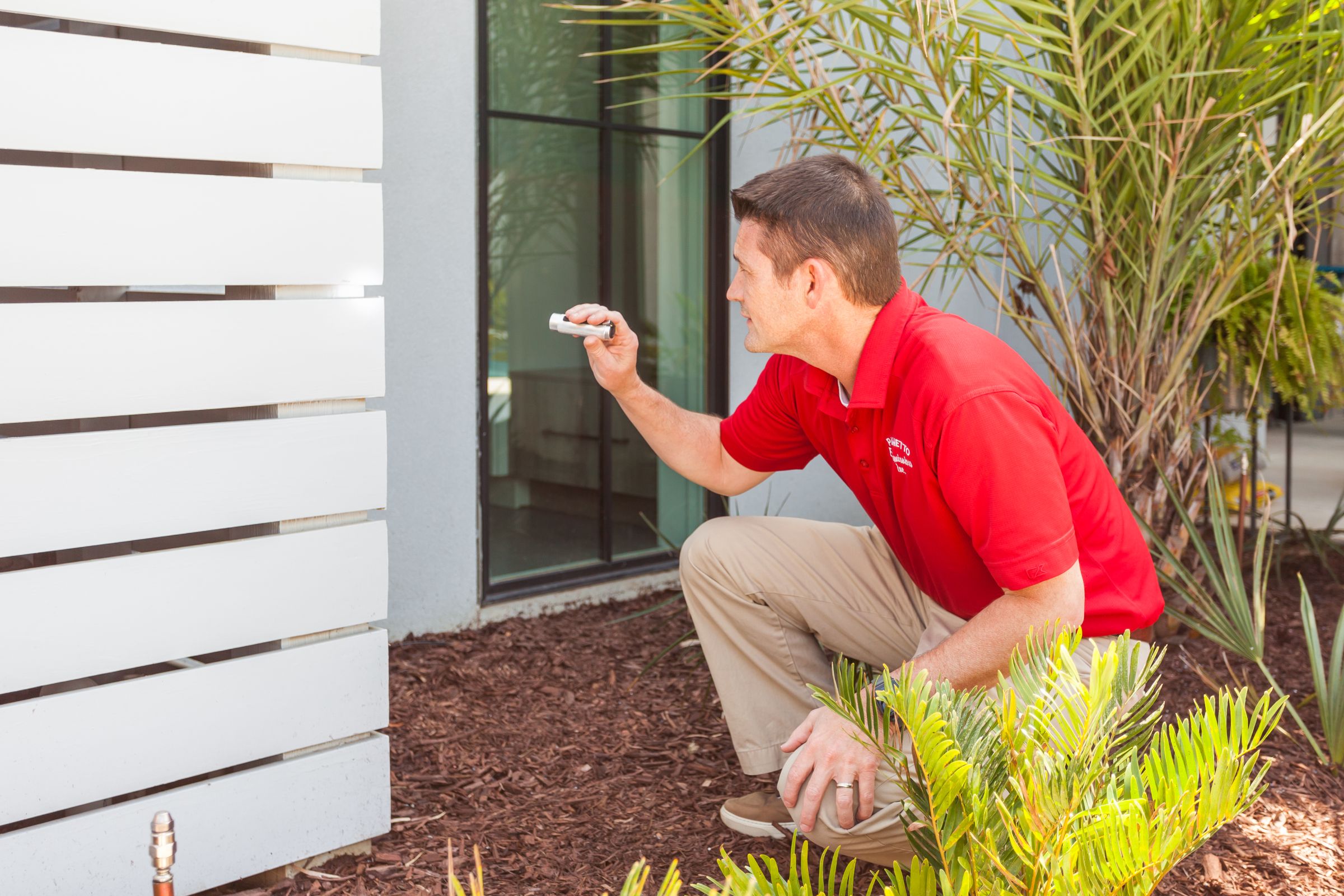 Best Pest, Termite & Mosquito Control | Palmetto Exterminators