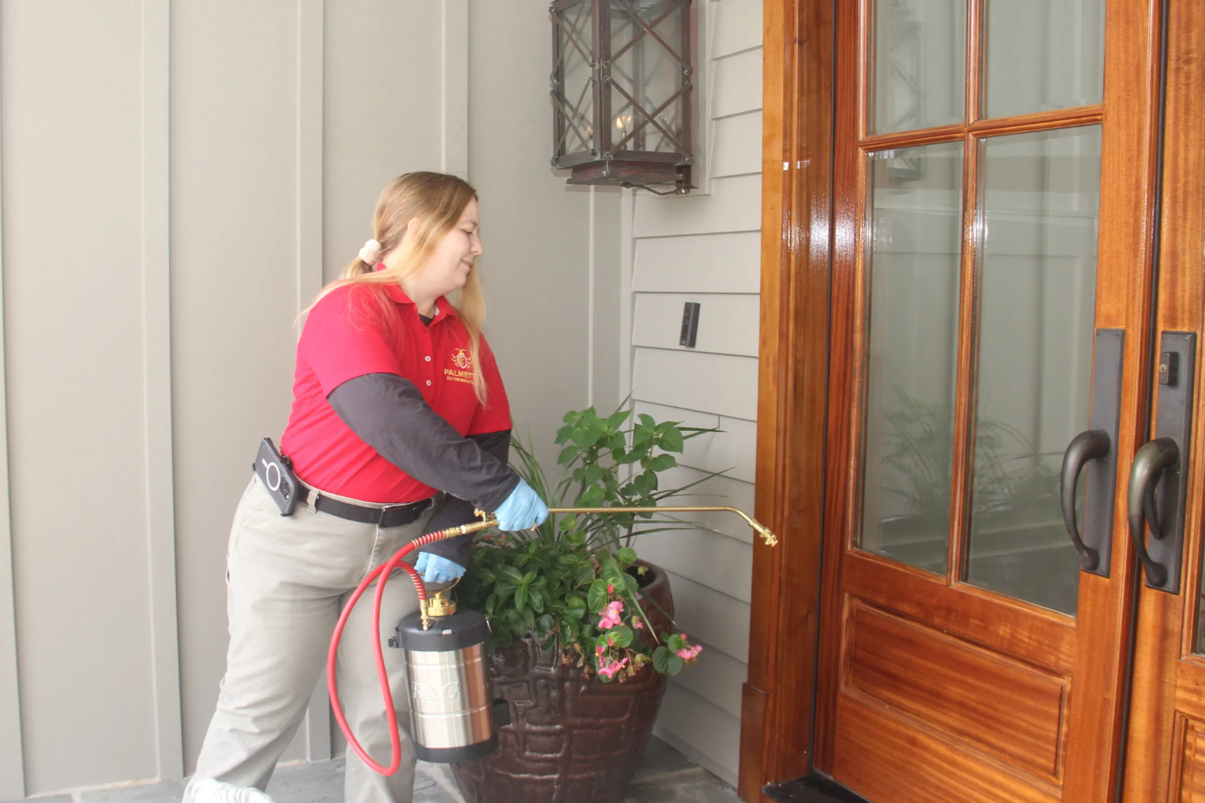 Pest Control, Greer SC | Palmetto Exterminators