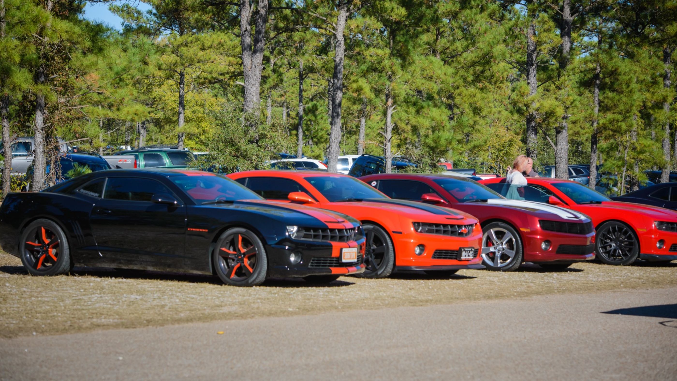 Parking Passes | Texas Renaissance Festival