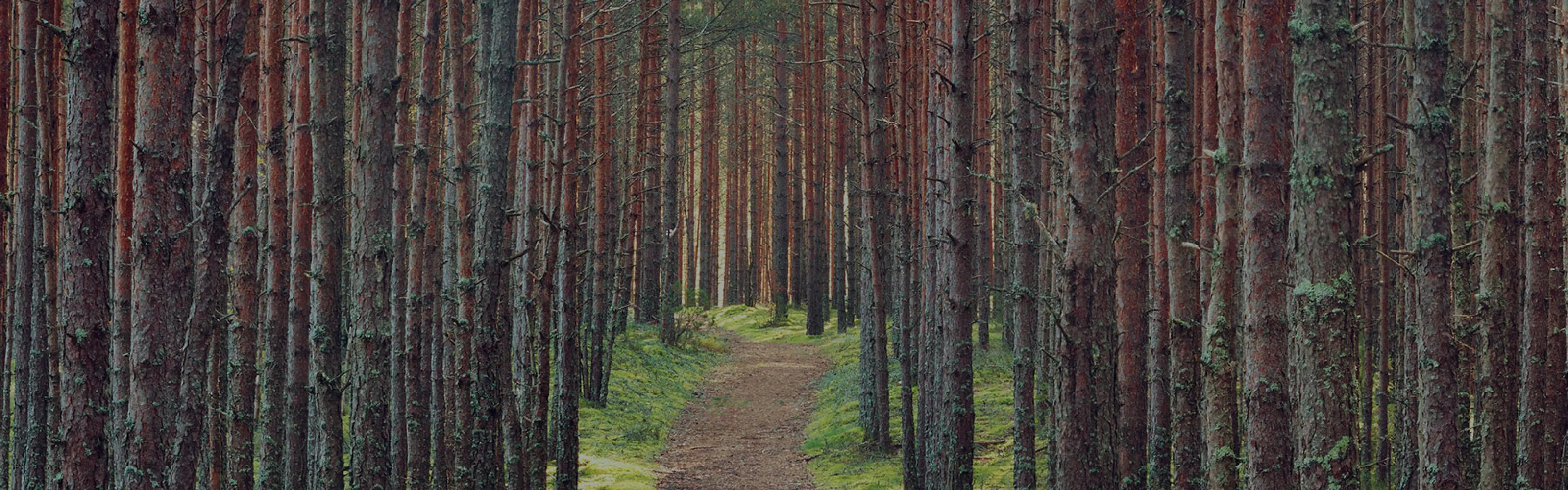 Asset Liability Management | Performance Trust