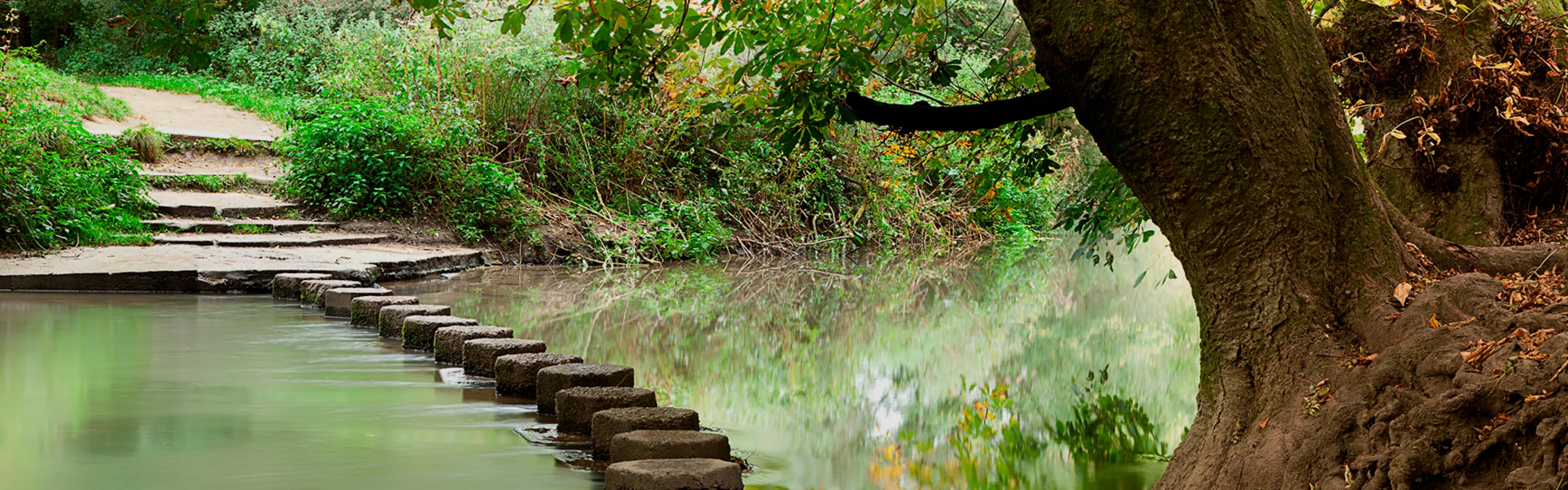 Bond Accounting | Performance Trust