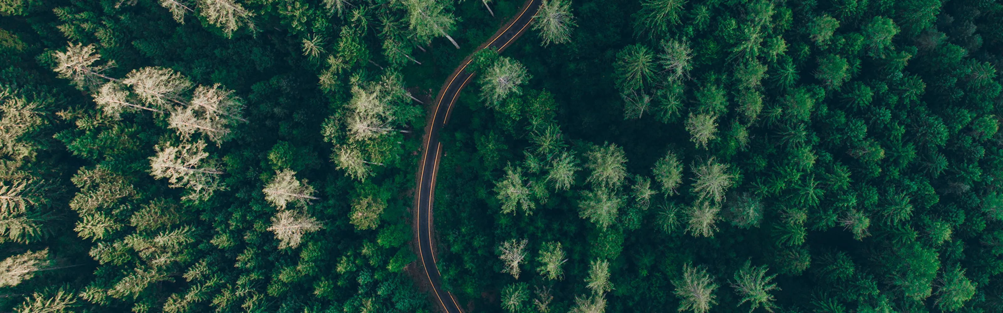 Regulatory and Legal Disclosures | Performance Trust