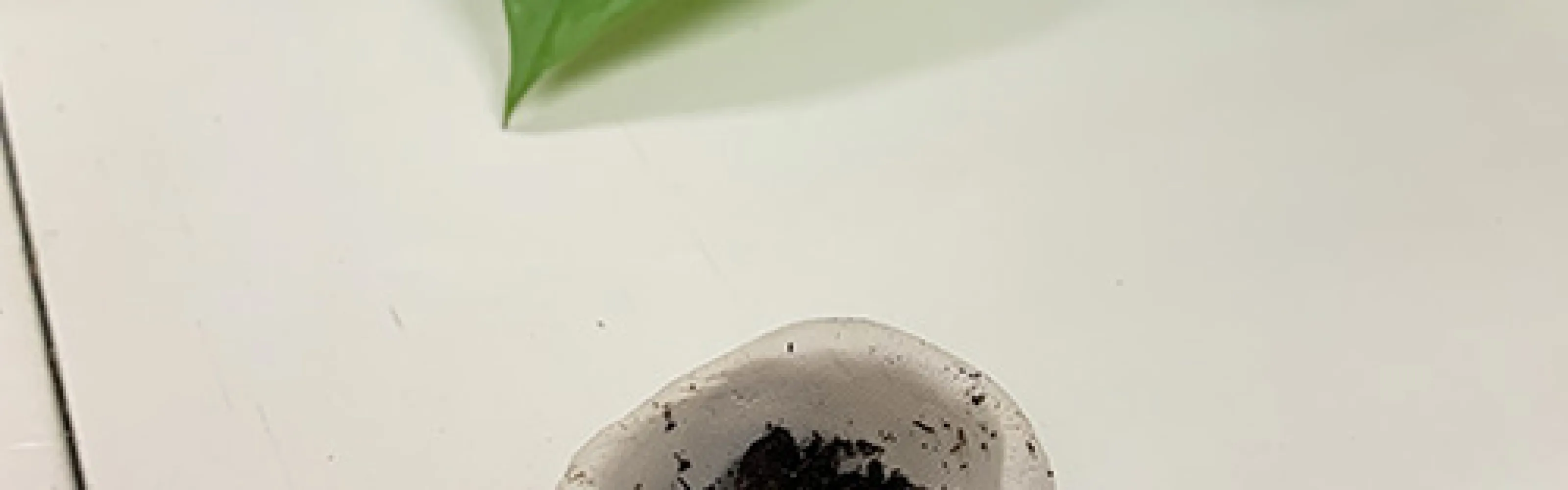 Create your own Garden Seed Bomb | Armstrong Garden Centers