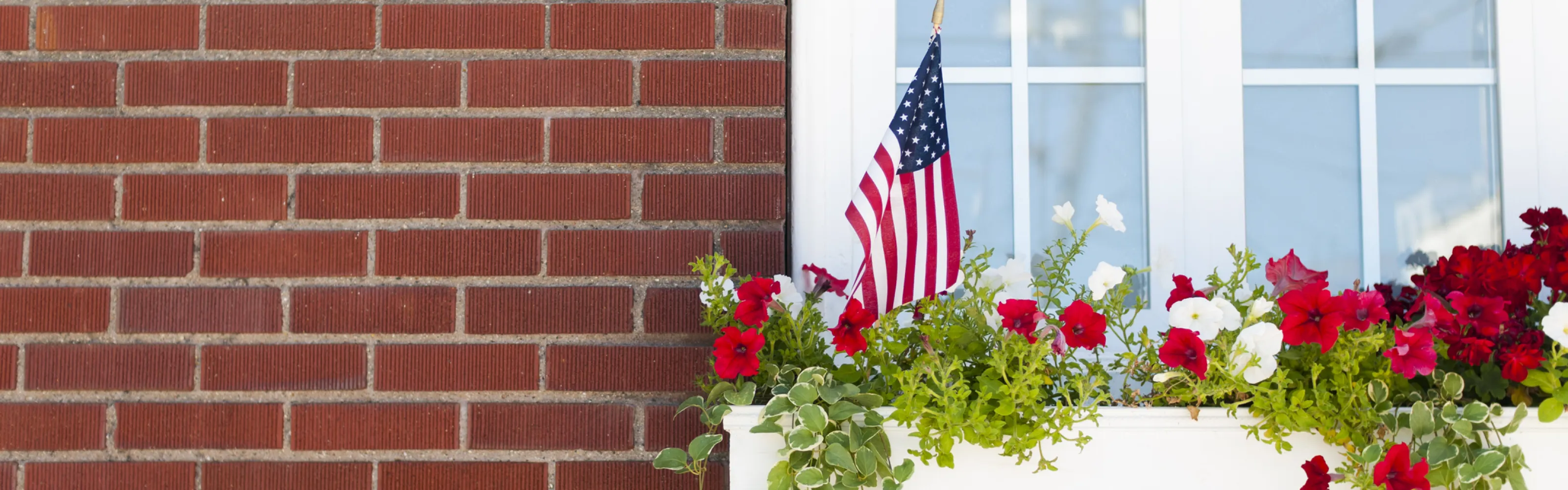 Patriotic Window Box DIY | Pike Nurseries