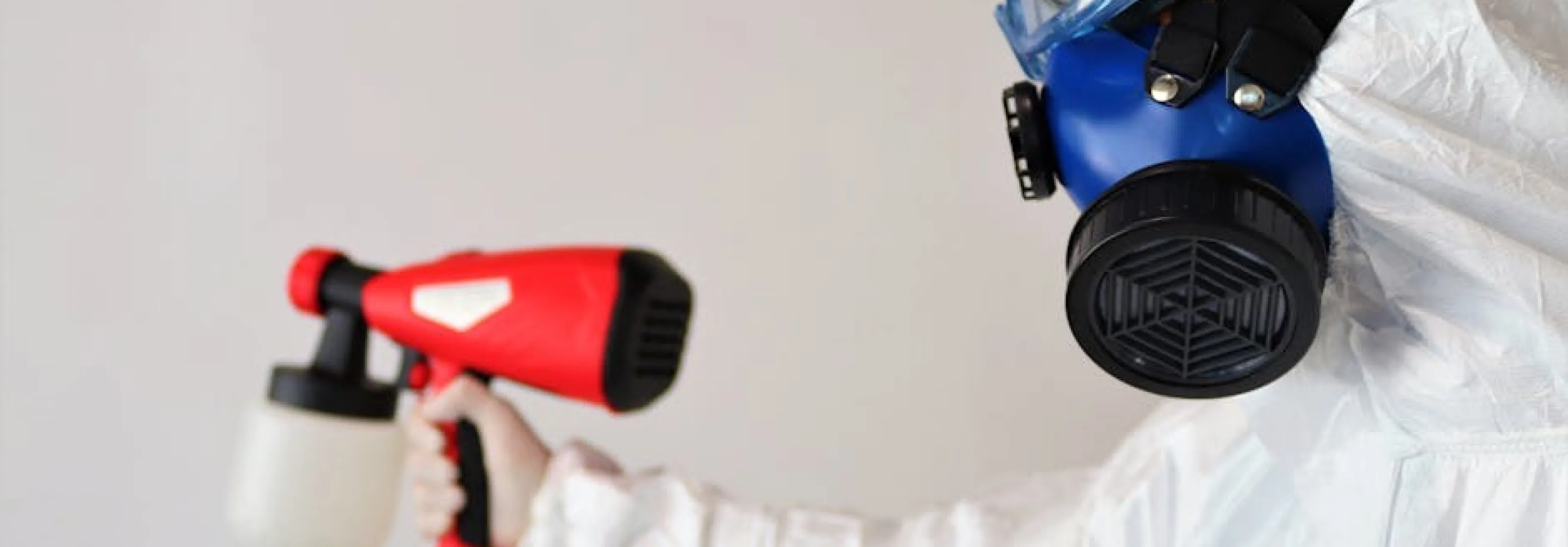 Understanding the Mold Removal Process: What to Expect | Parker Young