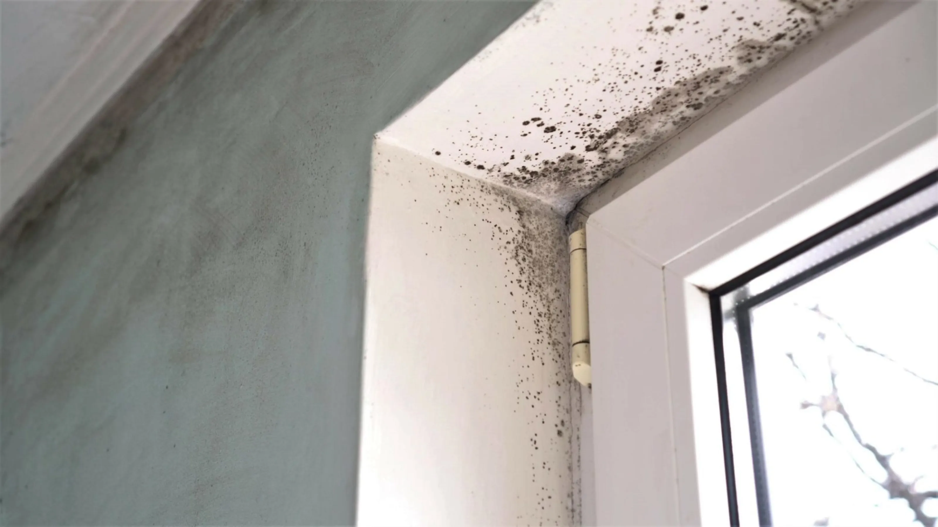 Reduce Mold and Humidity Risks with HVAC | Estes Services