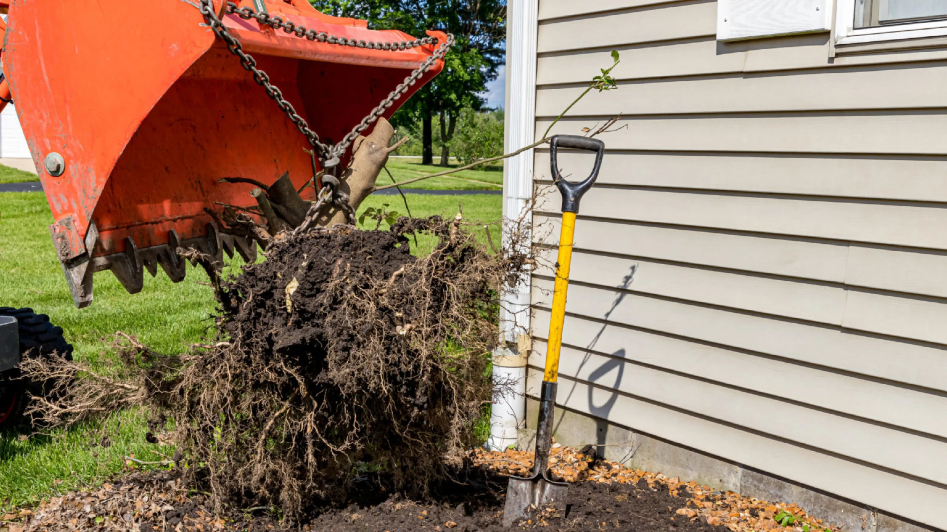 How to Get Tree Roots out of Sewer Line | Estes Services