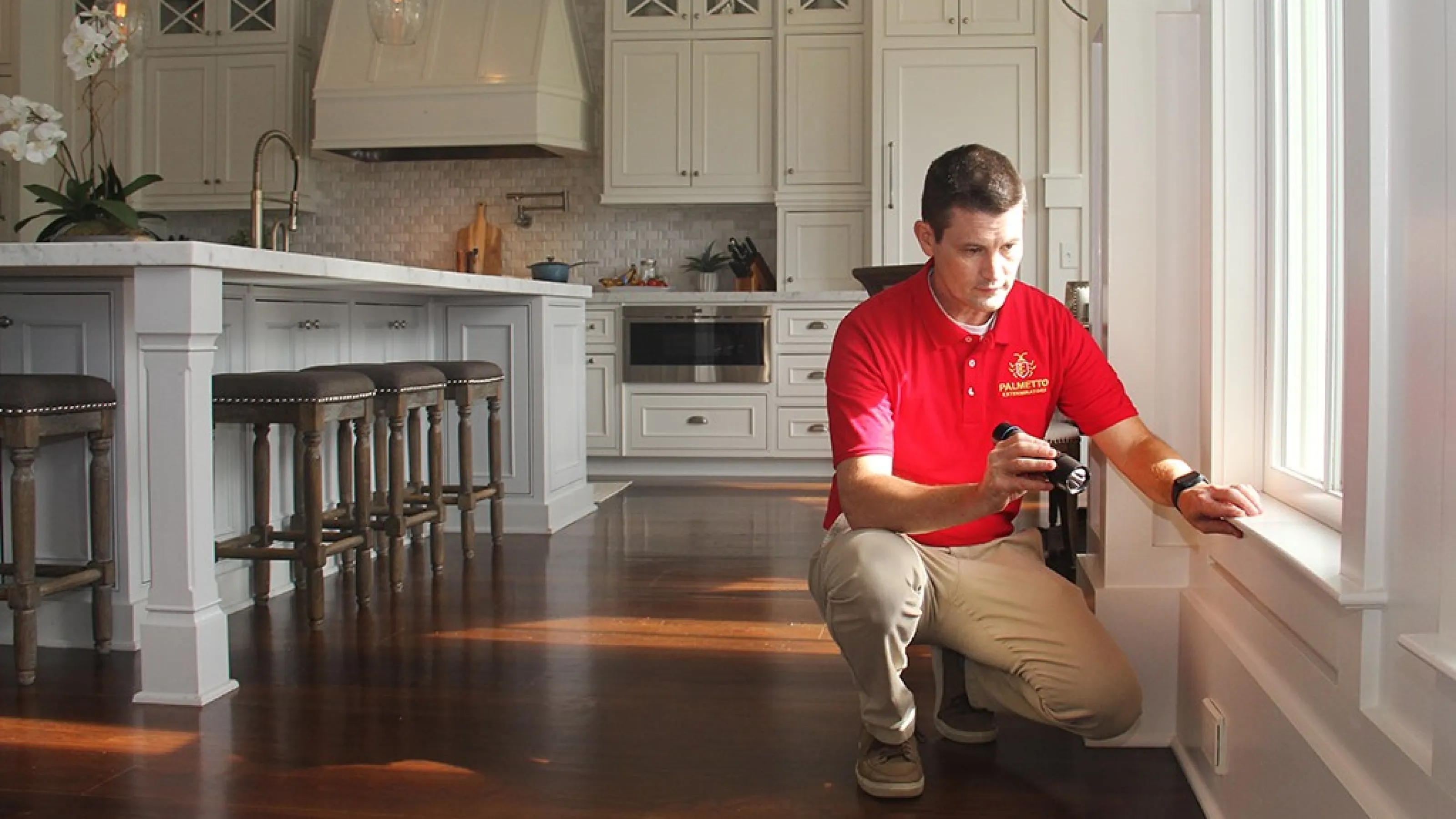 Termite Control in South & North Carolina | Palmetto Exterminators