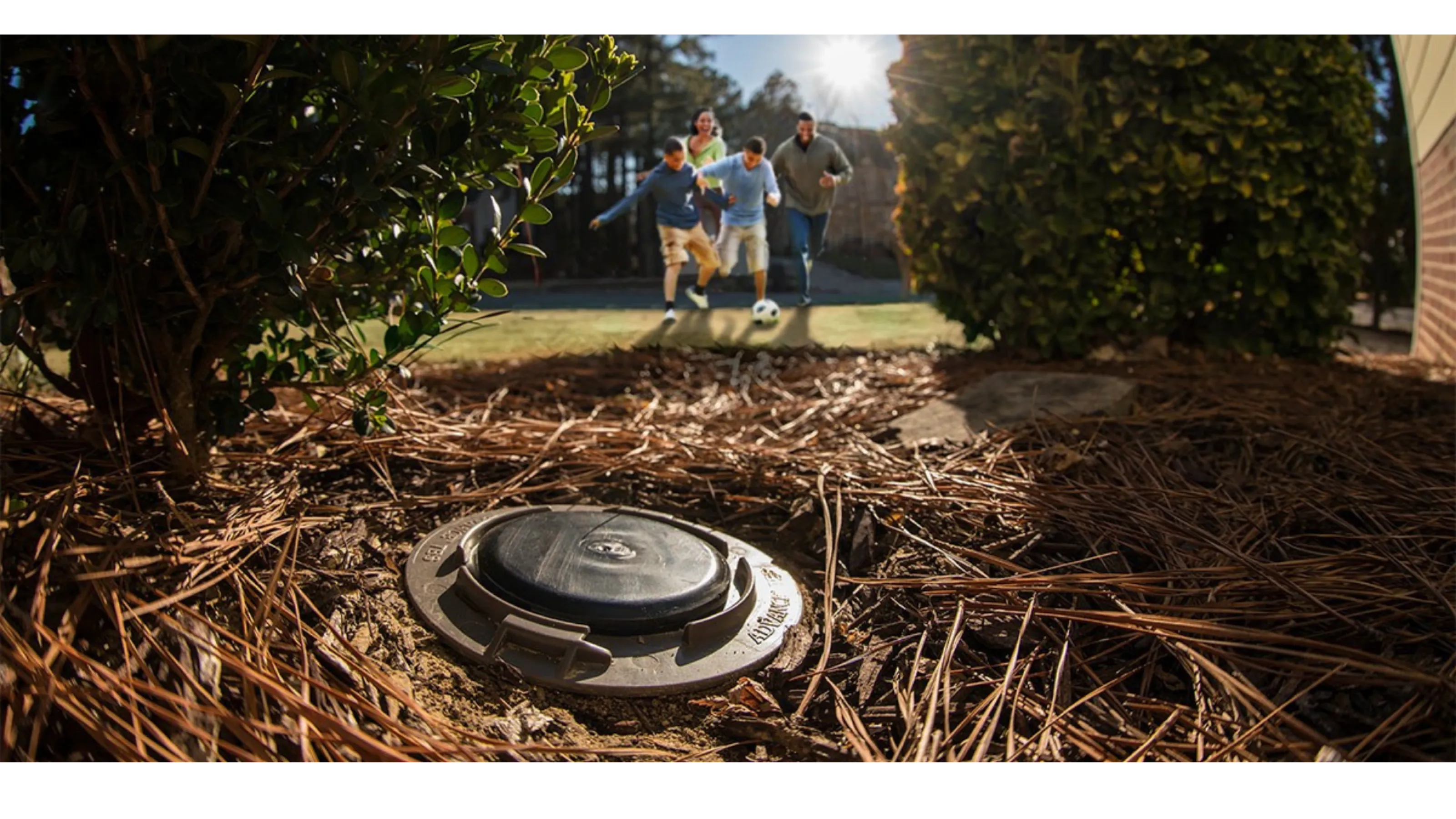 Effective Termite Control Services in Murrells Inlet | Palmetto ...