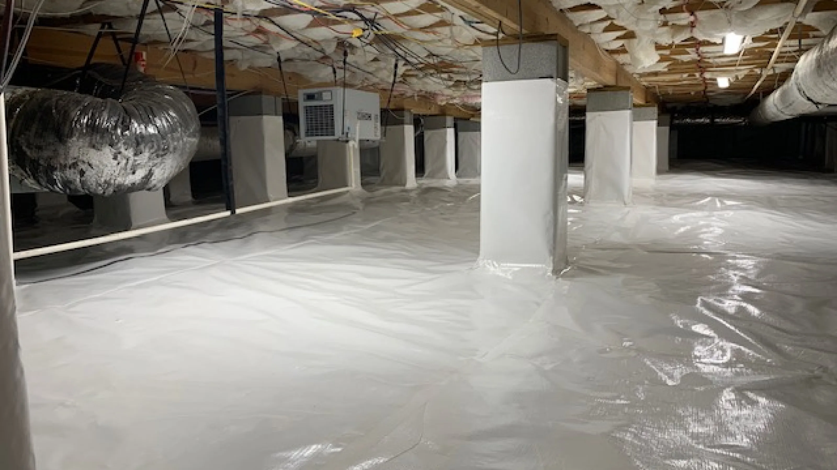 Our Crawl Space Solutions | Palmetto Exterminators