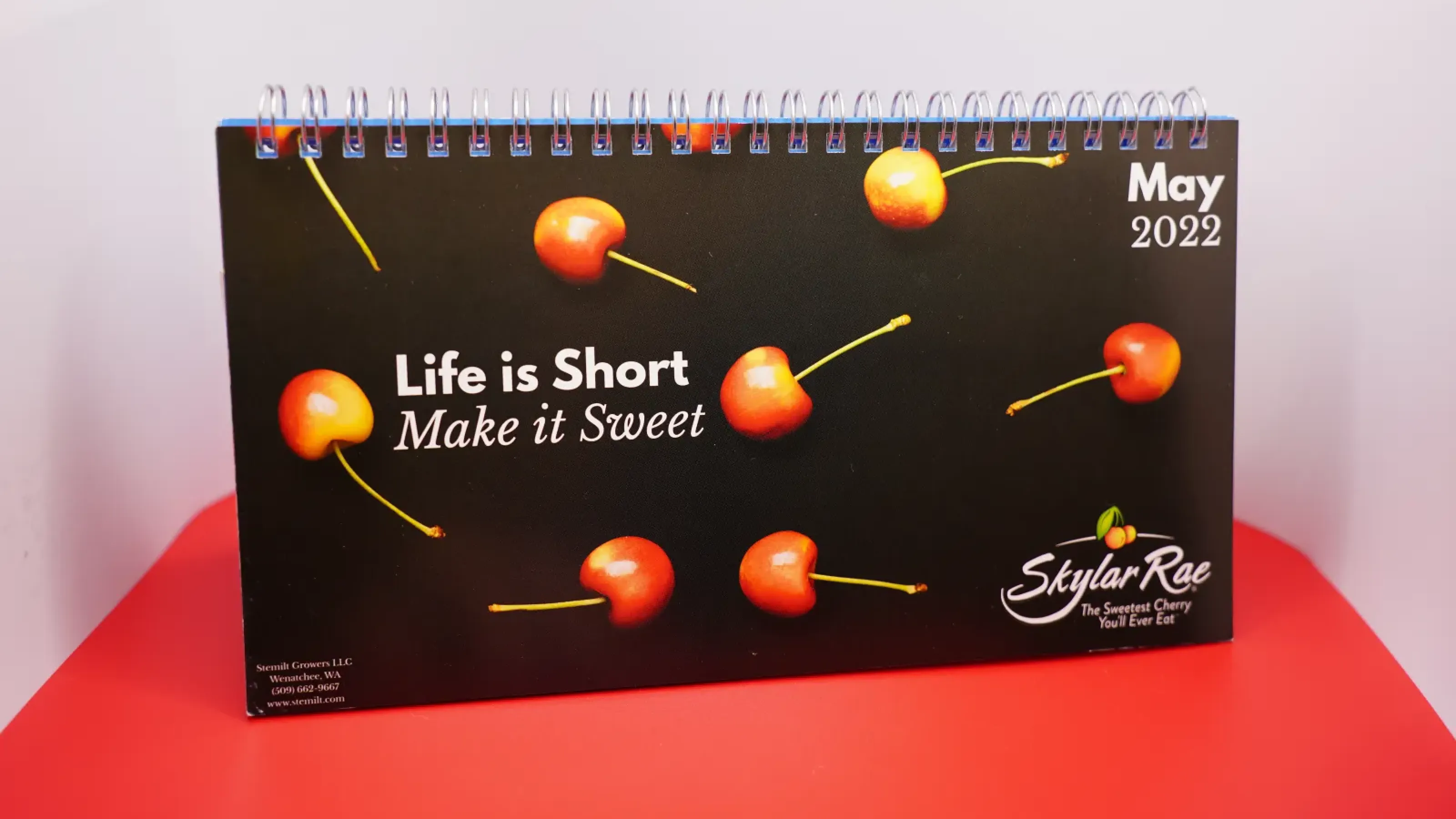 Custom Laminated Flip Books & Flip Charts | Formax Printing