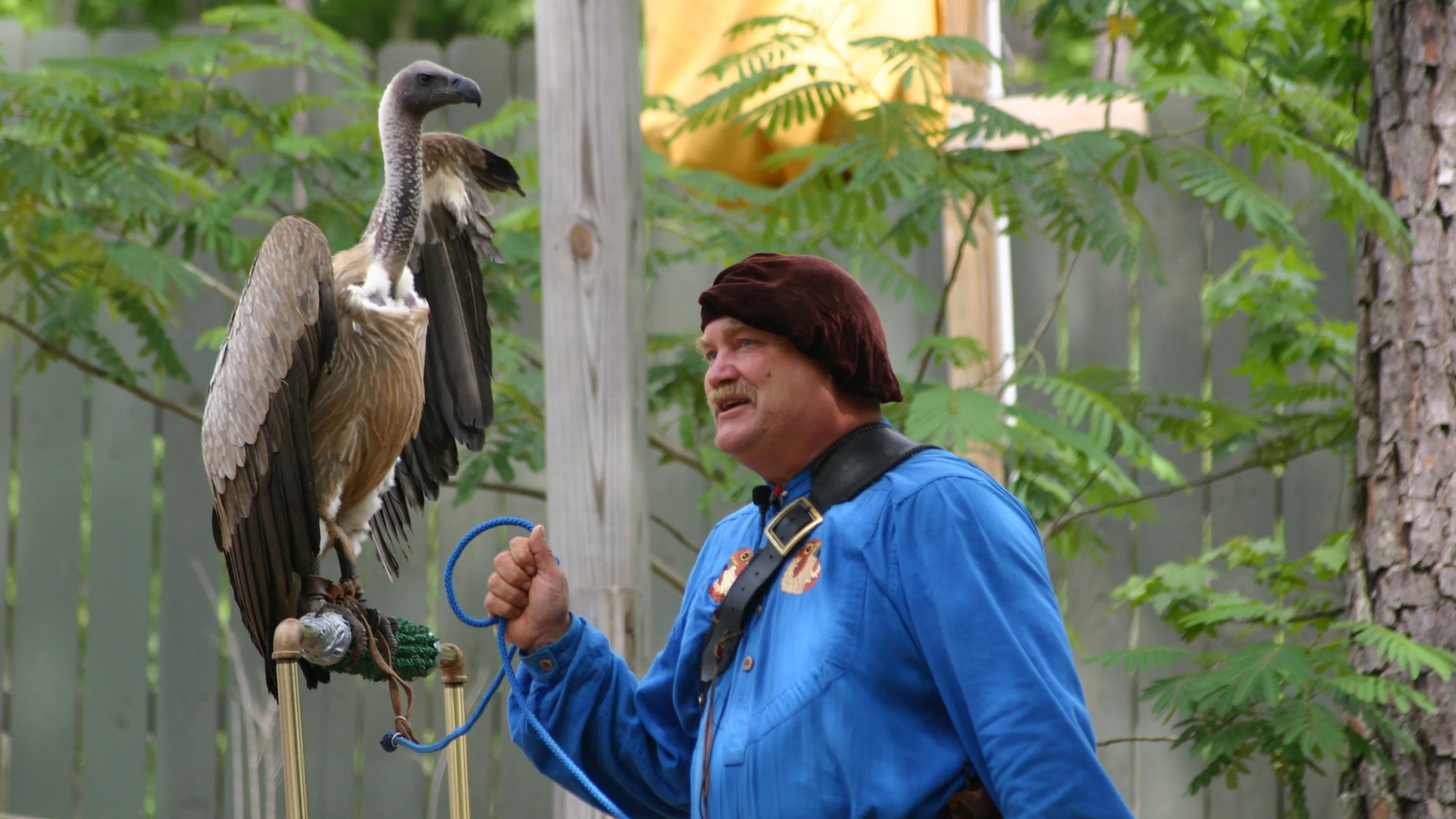 Entertainment | Georgia Renaissance Festival