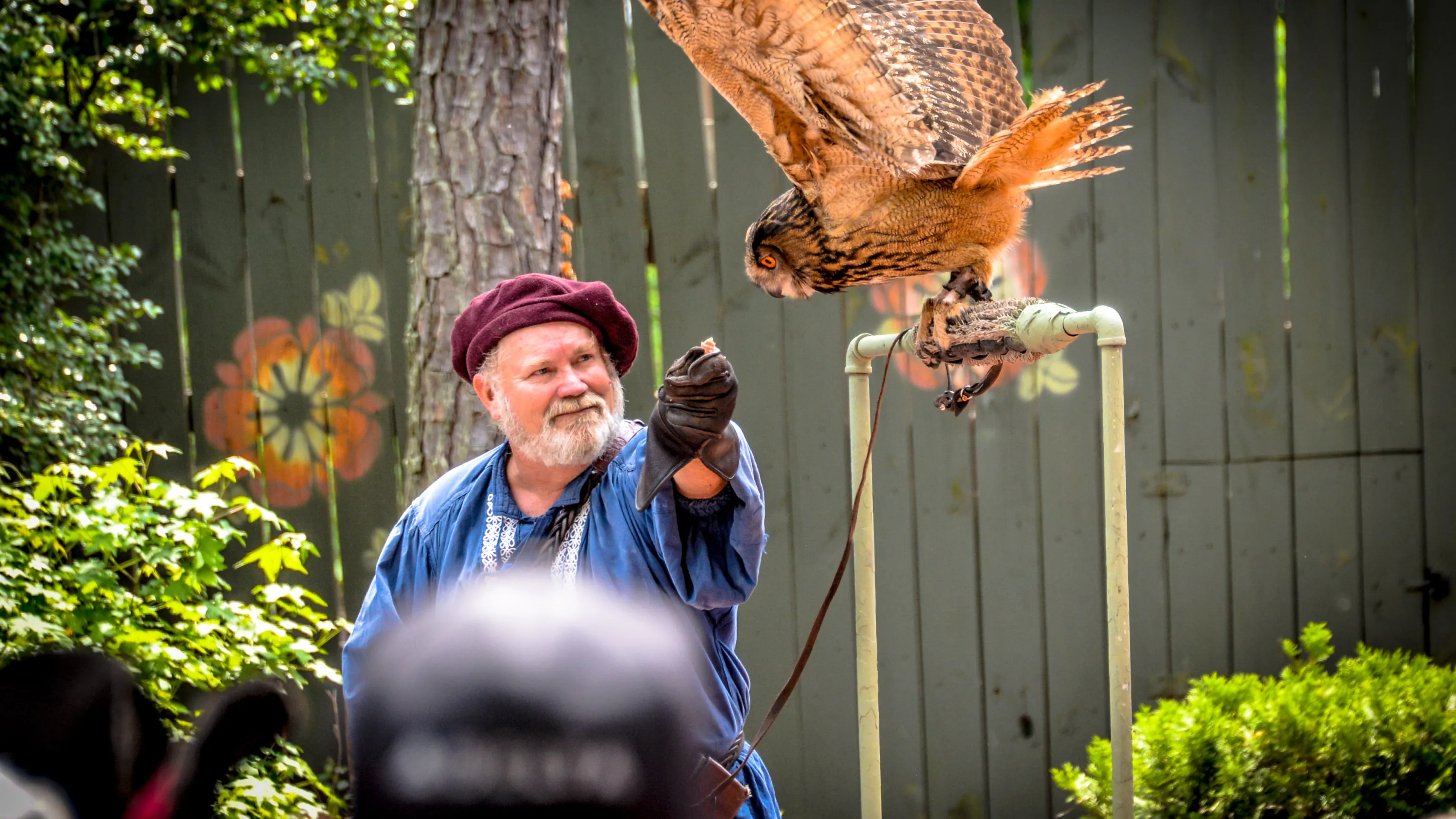 Entertainment | Georgia Renaissance Festival