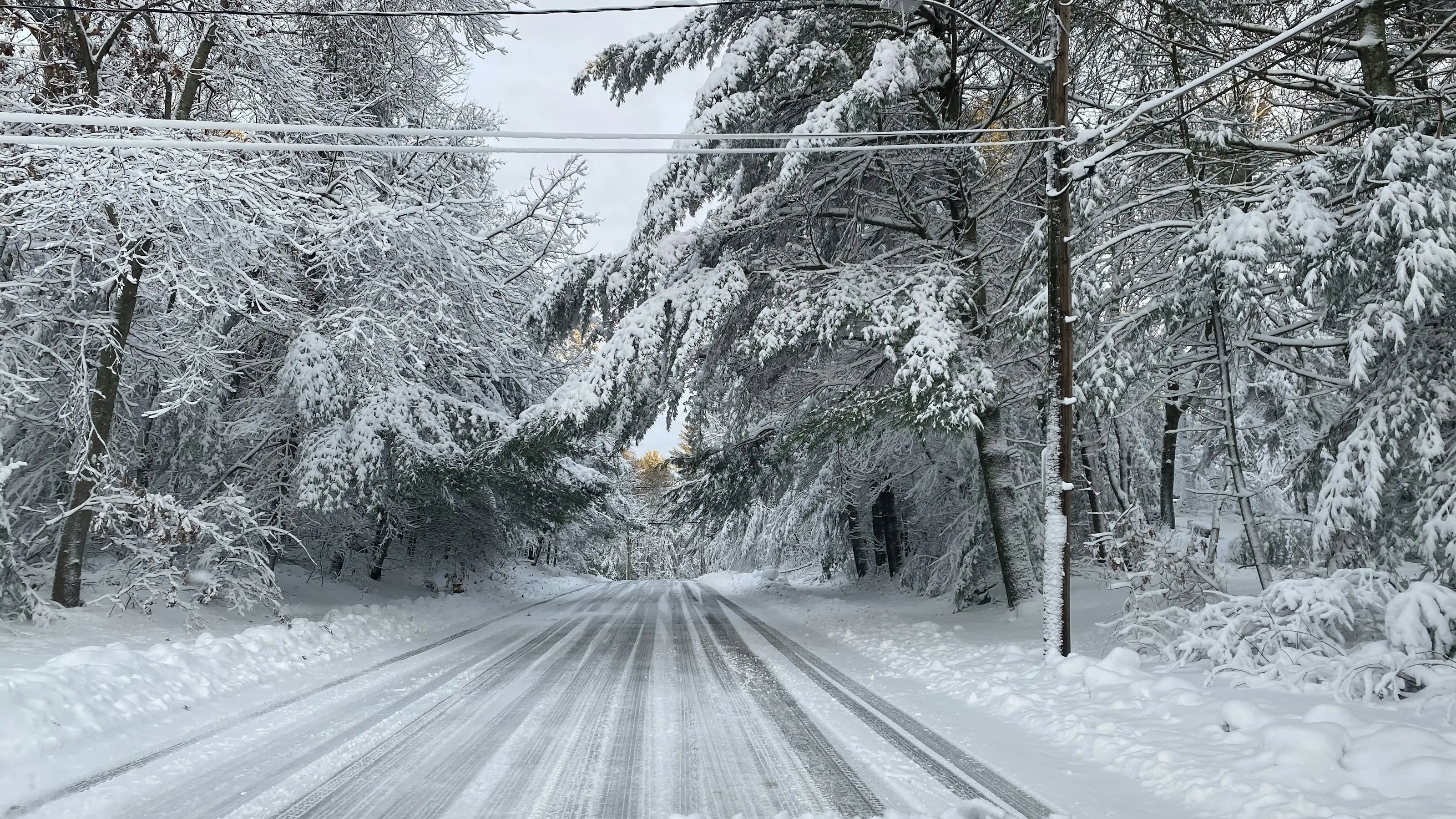 Law Firm Cases | Lowe Law