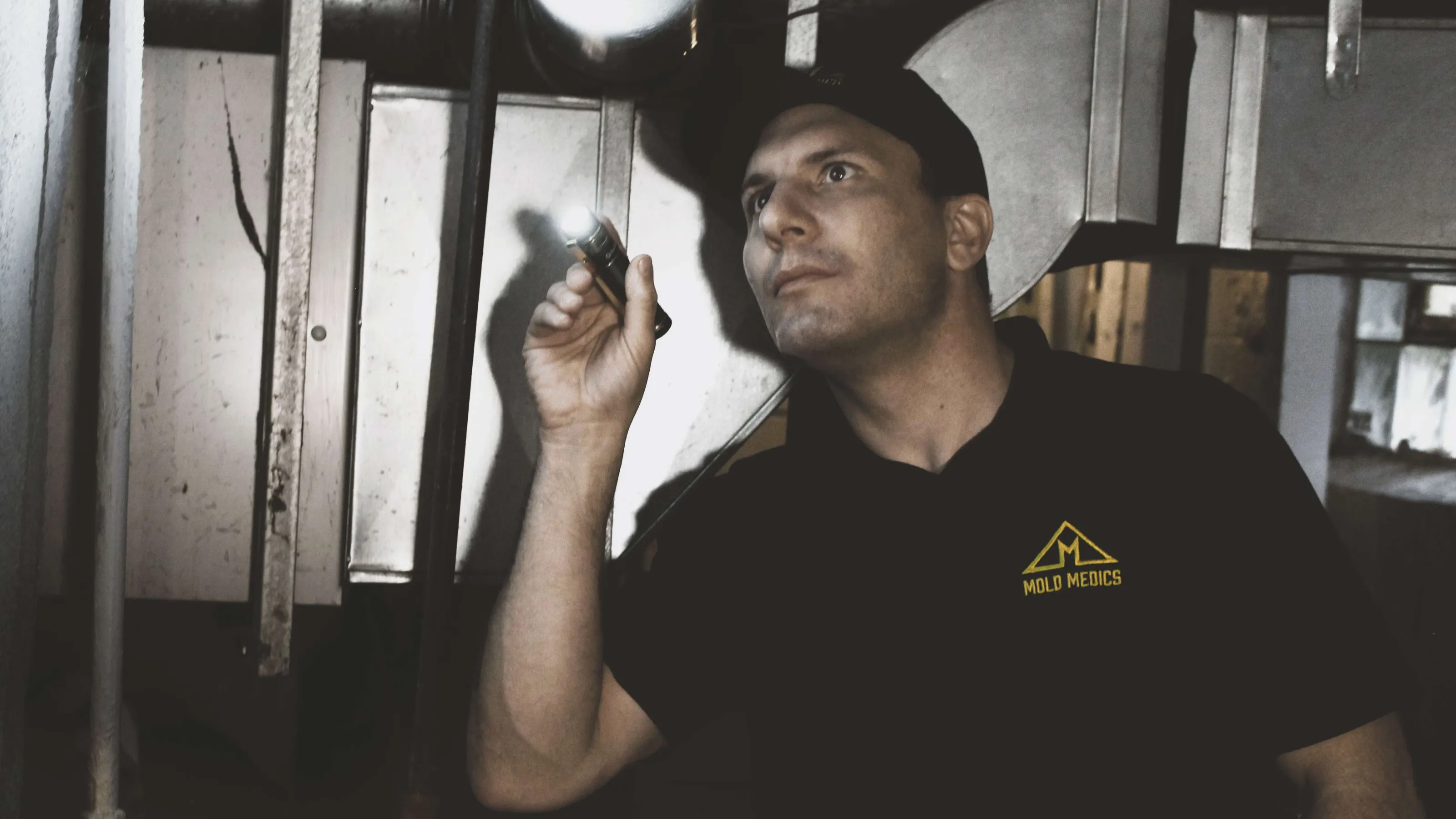 Mold Medics Toledo | Mold Medics