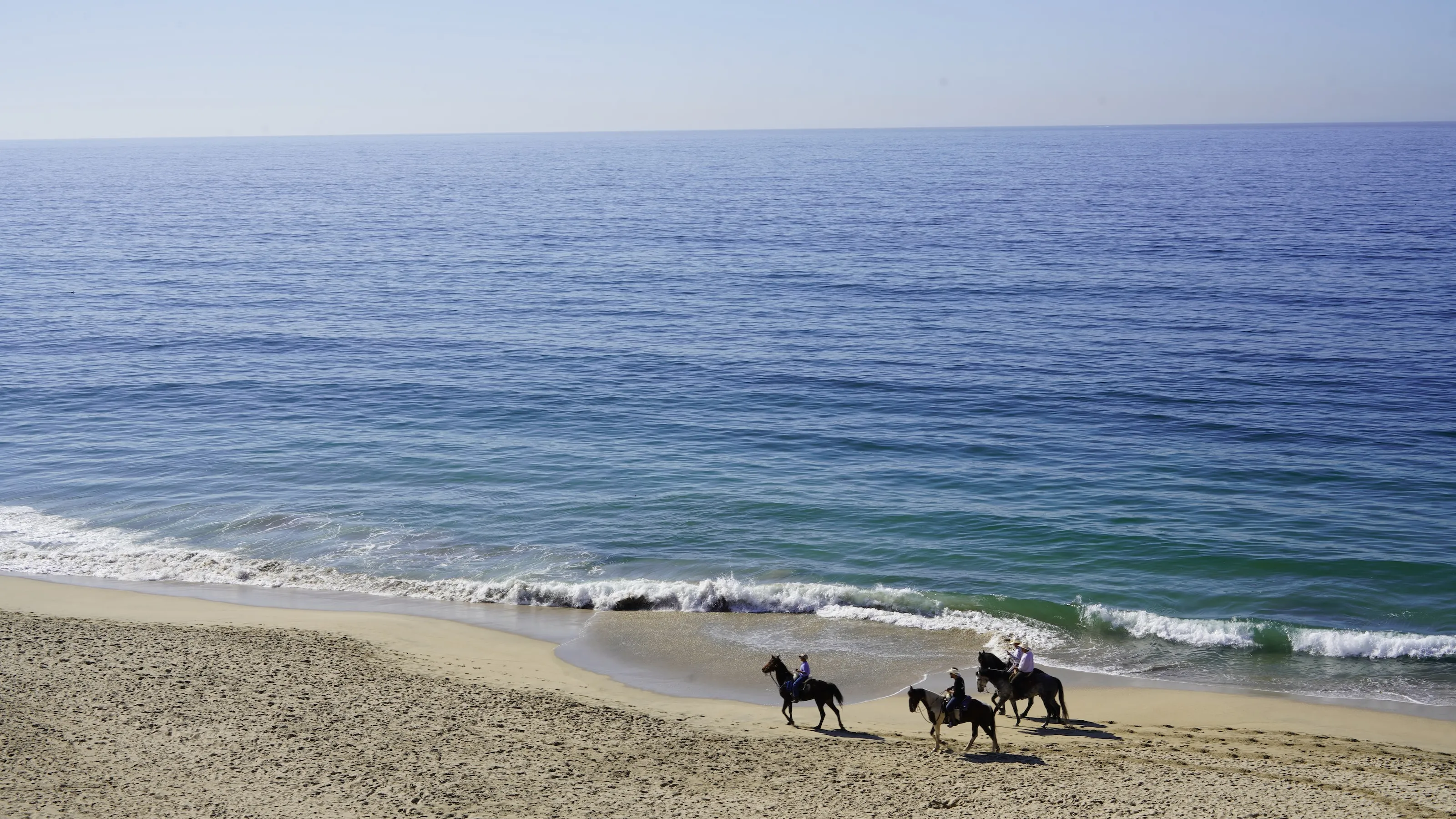 Patrick R Bergin | Peebles Bergin