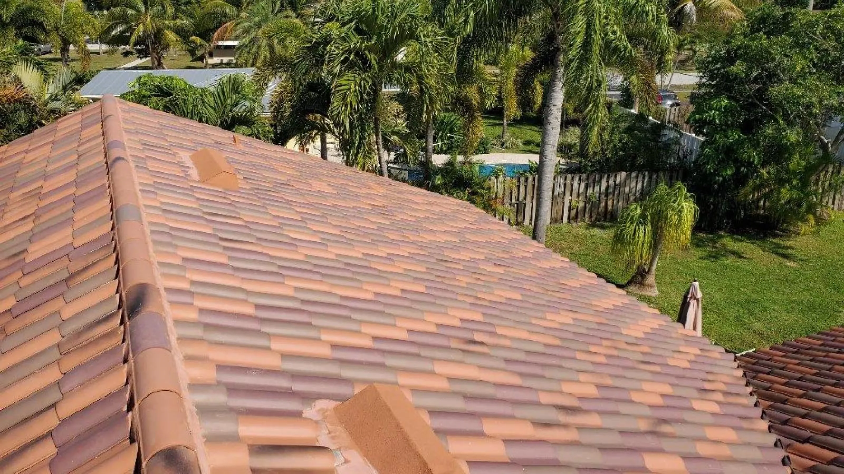 Rising Star - Bonita Springs, FL