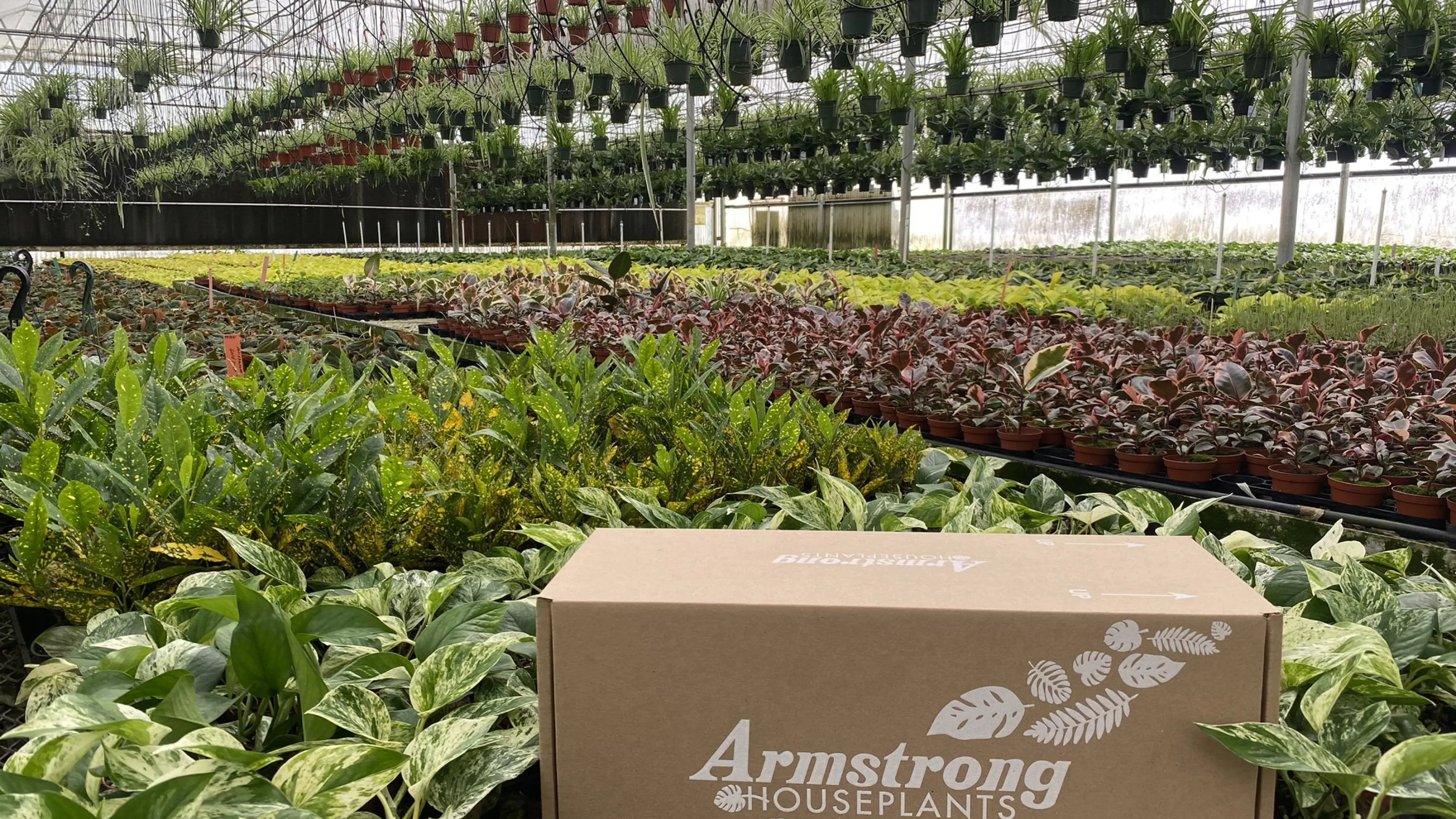 Landscape Design & Installation | Garden Supplies - Page 115 ...